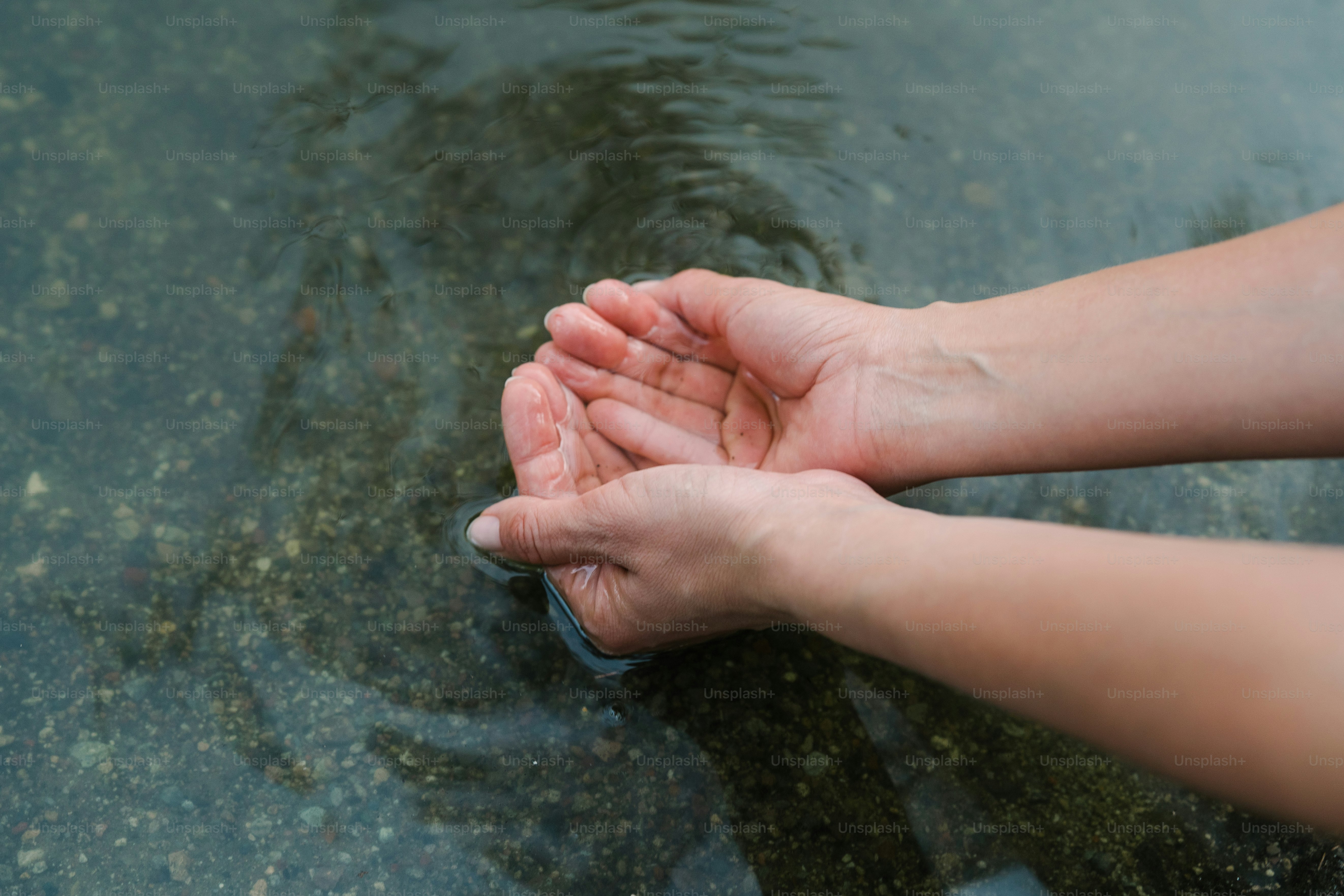 Hands cupping water, gathering or receiving. photo – Outdoor Image on ...
