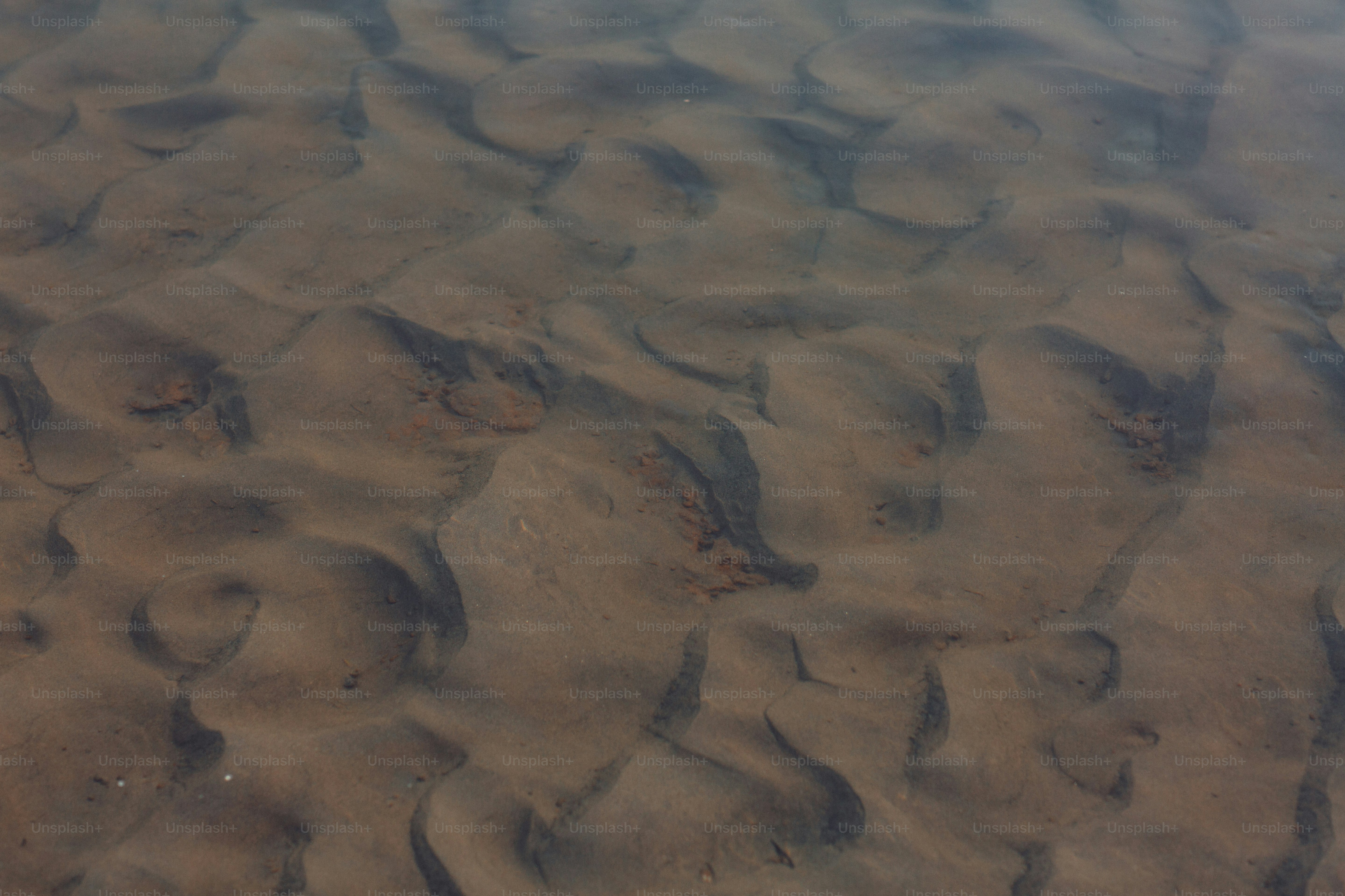 Sand ripples are seen underwater, creating patterns. photo – Texture ...