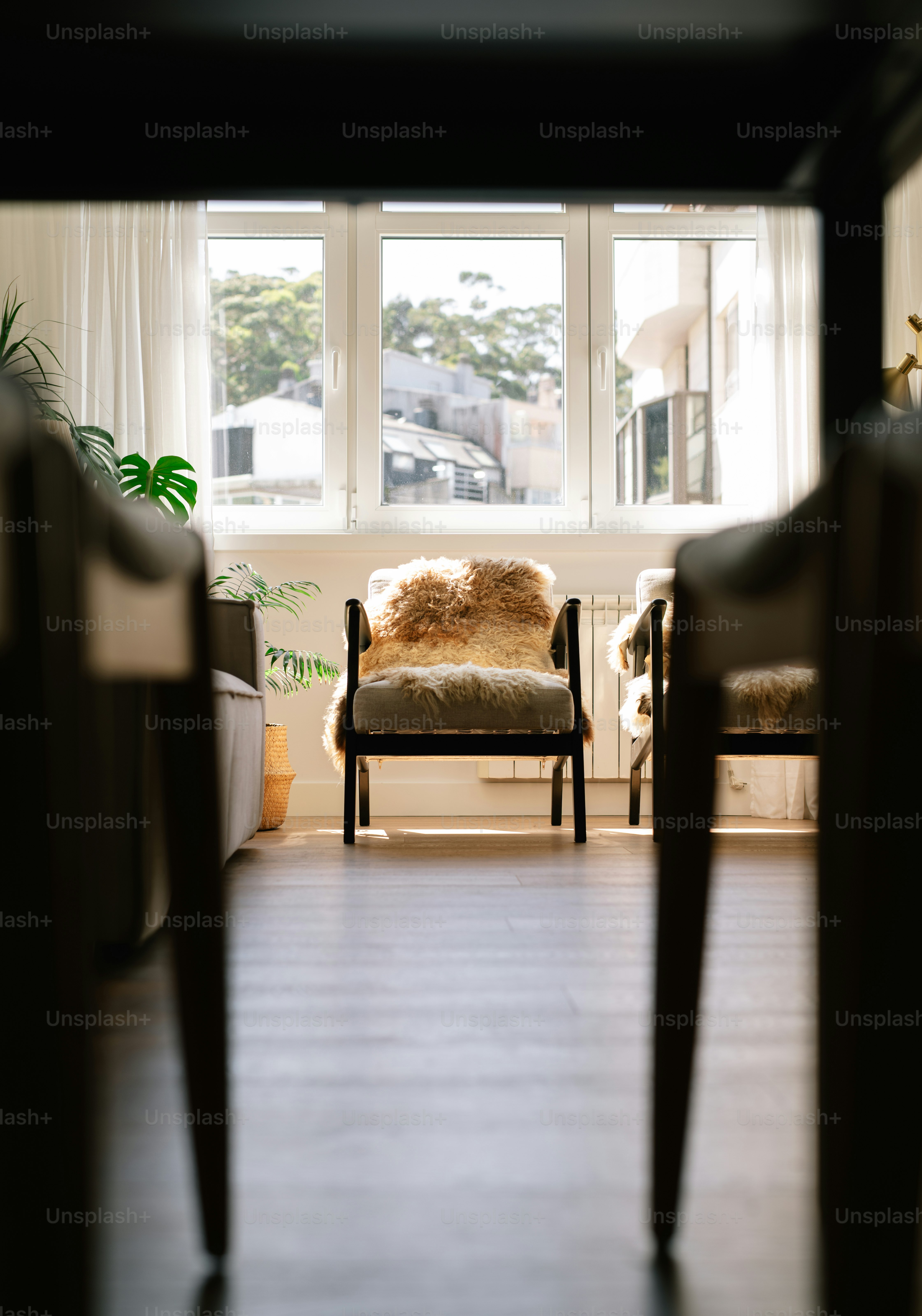 Chairs and a window provide sunlight. photo – Interior design Image on ...