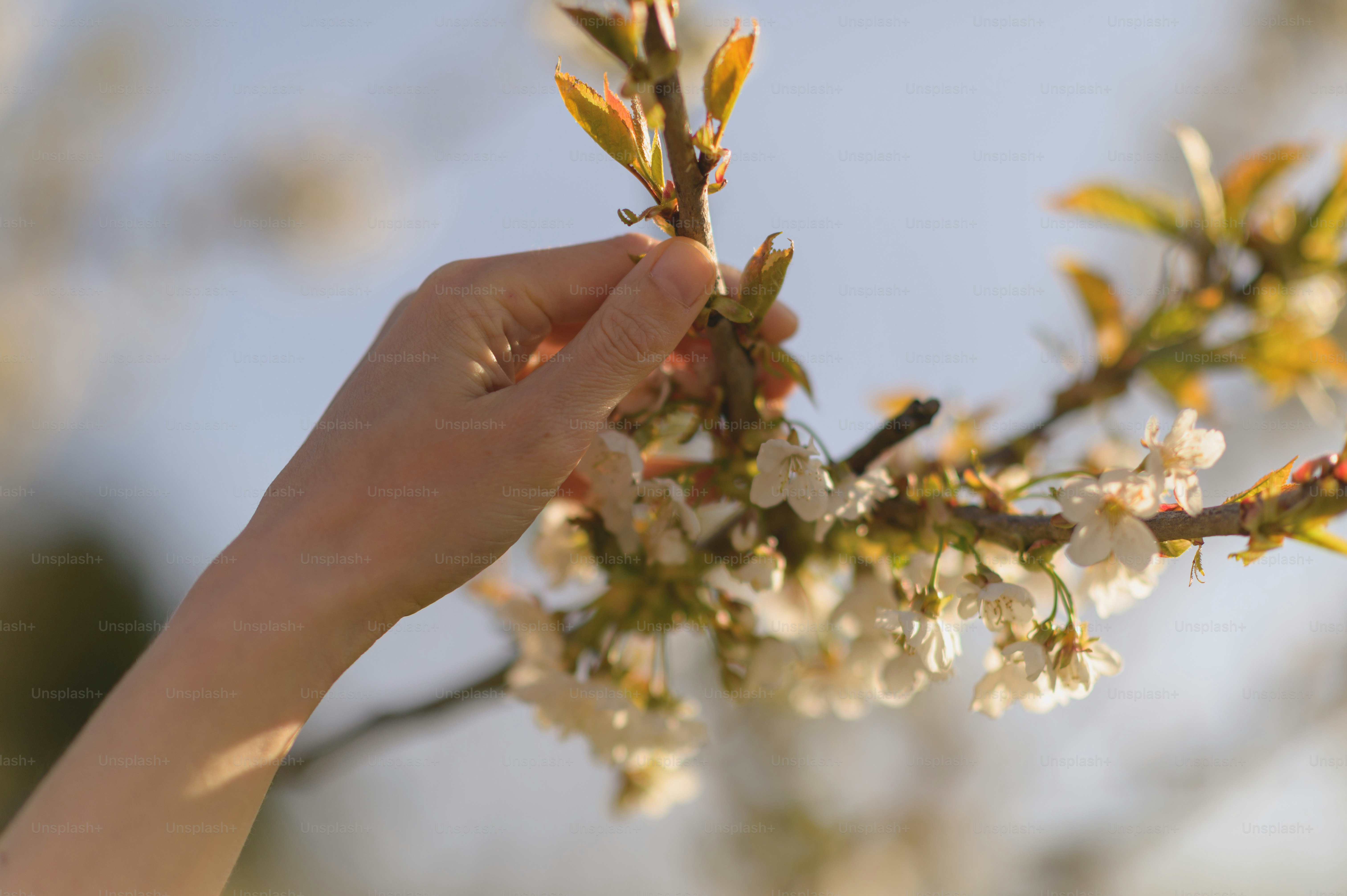 Vincent Botta (@0asa) | Unsplash Photo Community
