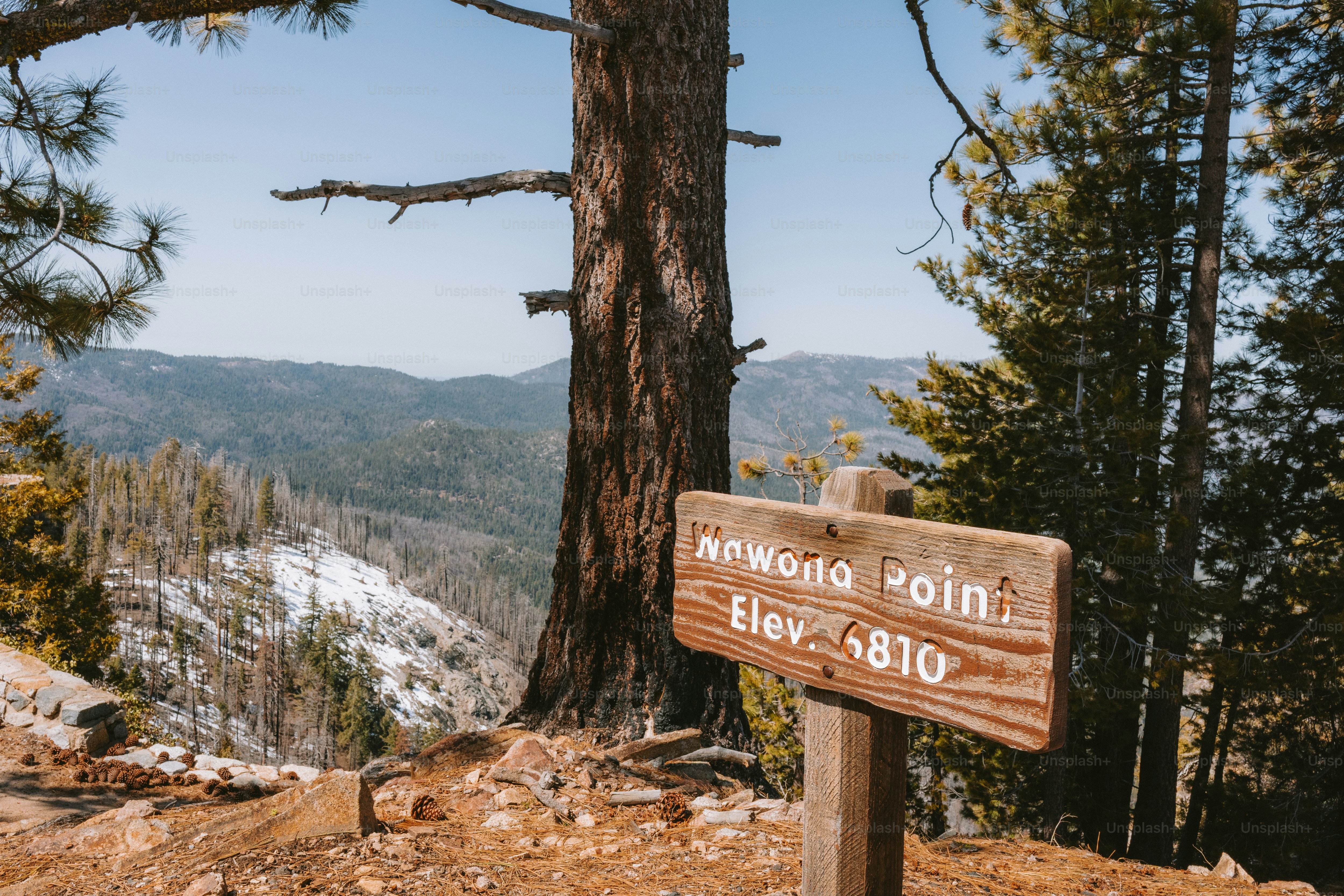 View from nevada point overlooks a beautiful landscape. photo – Forest ...