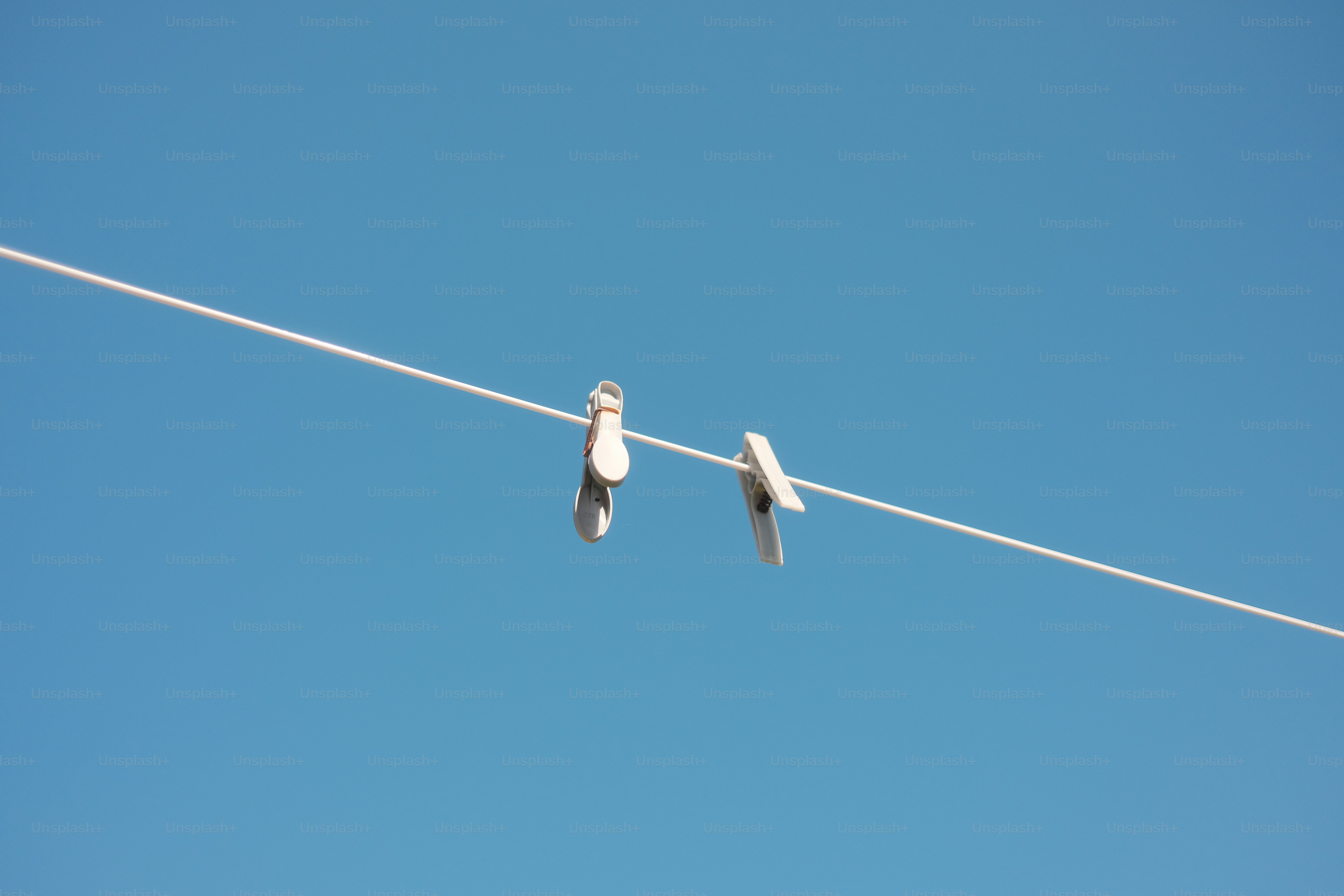 Tailwind Css Pictures | Download Free Images on Unsplash