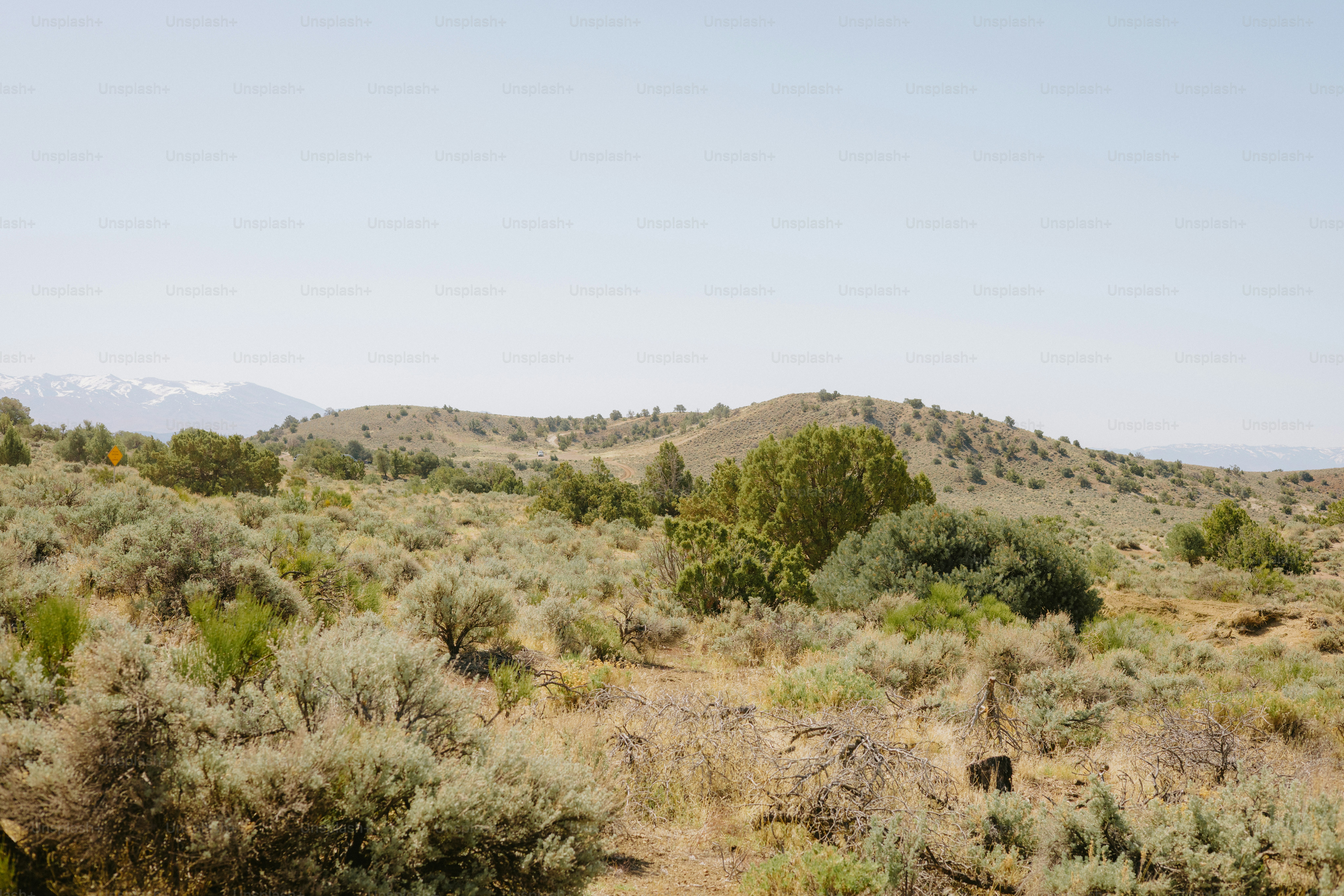 Hilly landscape with sparse shrubs and plants. photo – Mountains Image ...