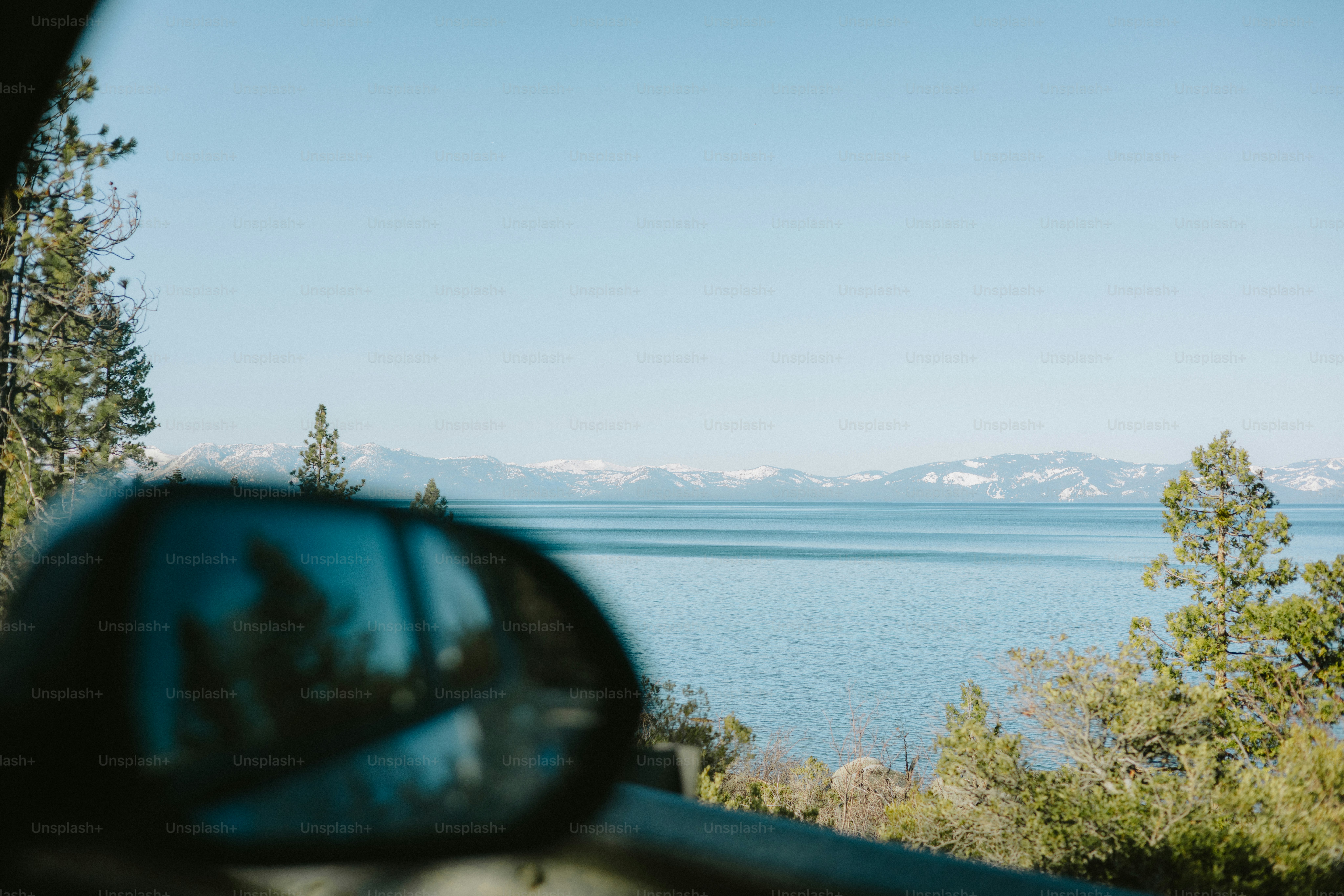 Trees overlook a blue lake with distant mountains. photo – Forest Image ...