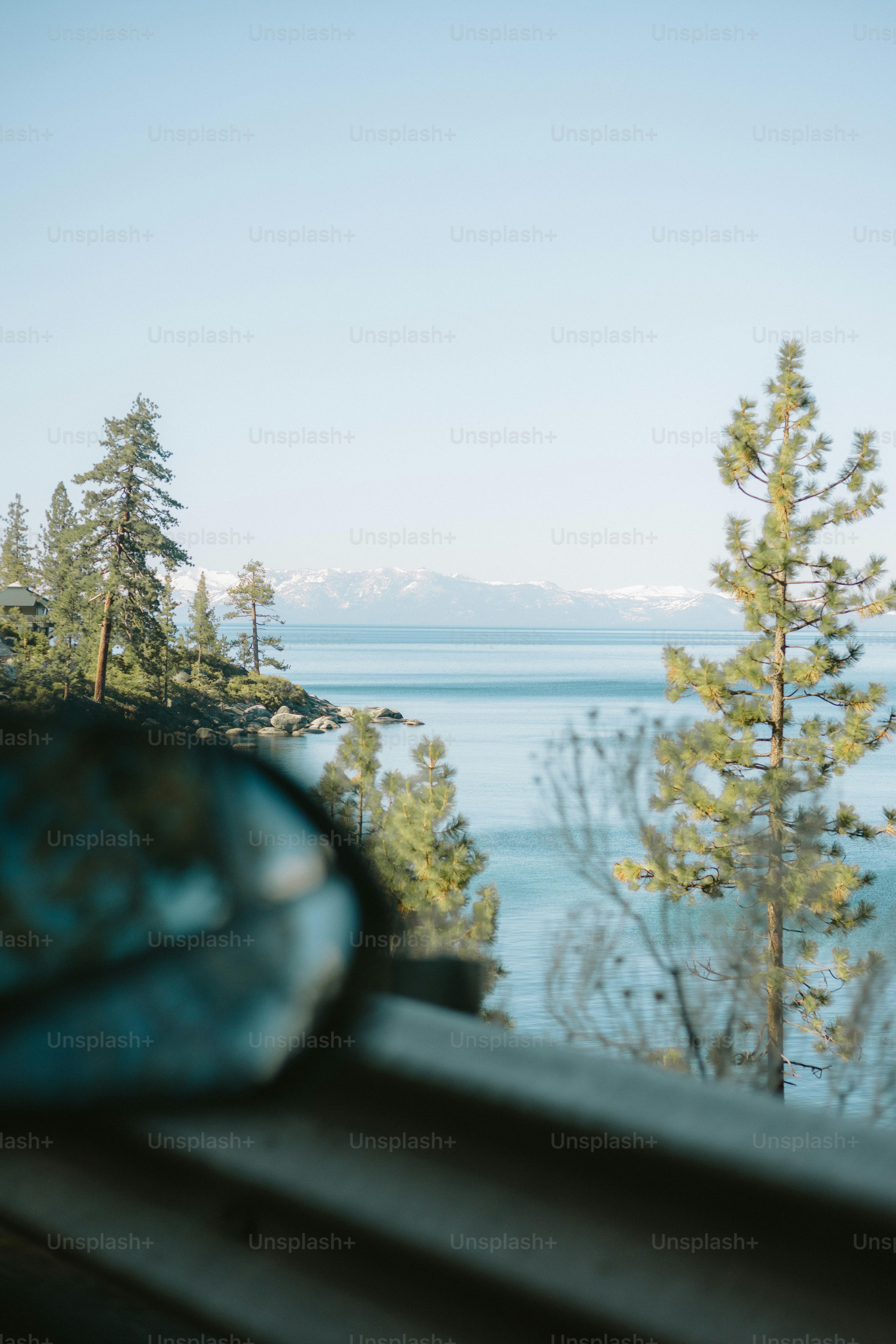 Trees overlook a blue lake with distant mountains. photo – Forest Image ...