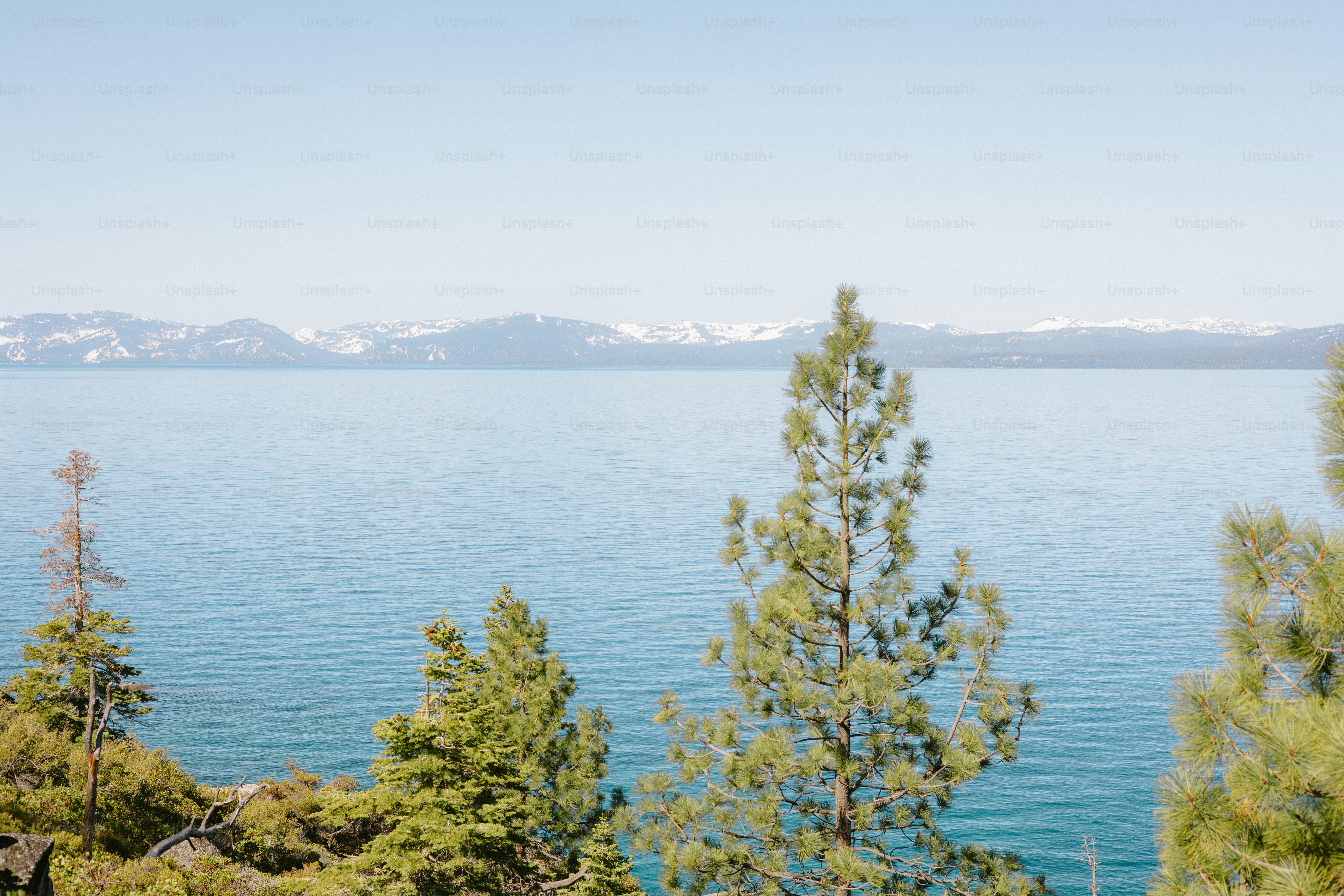Calm lake scene with mountains and trees. photo – Scenery Image on Unsplash