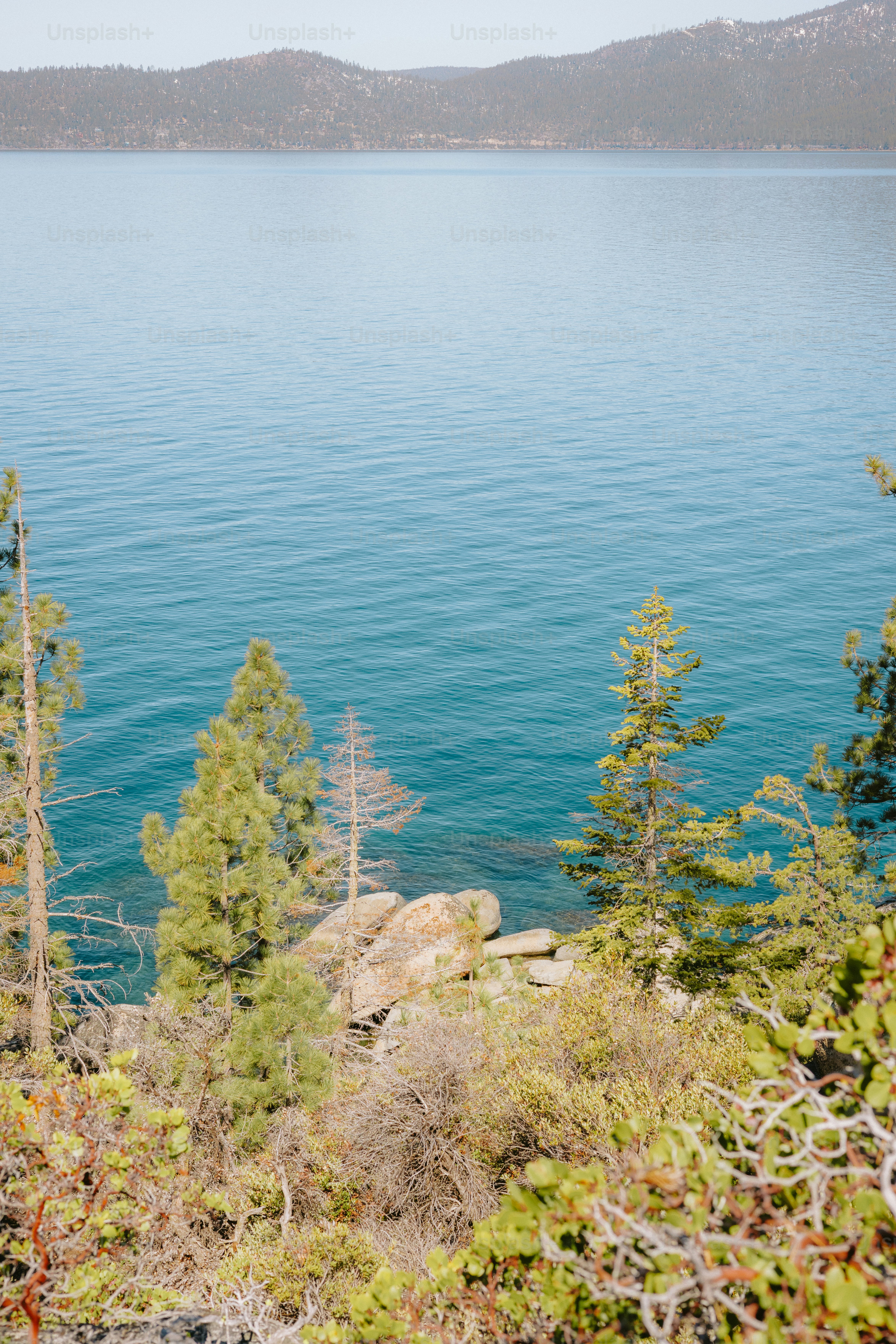 Beautiful lake and trees overlooking the water. photo – Scenery Image ...