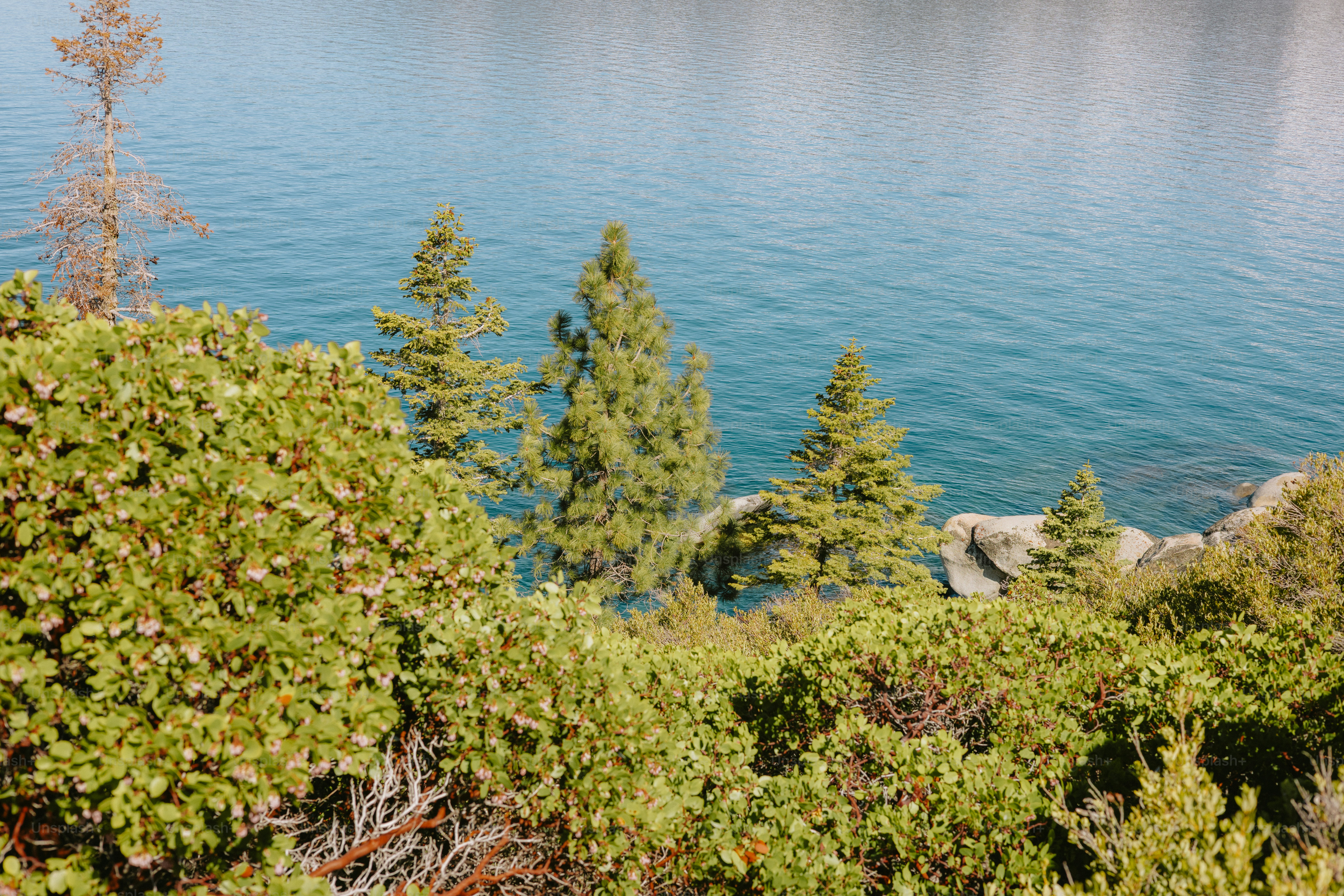 Lush greenery overlooks the clear, blue water. photo – Scenery Image on ...