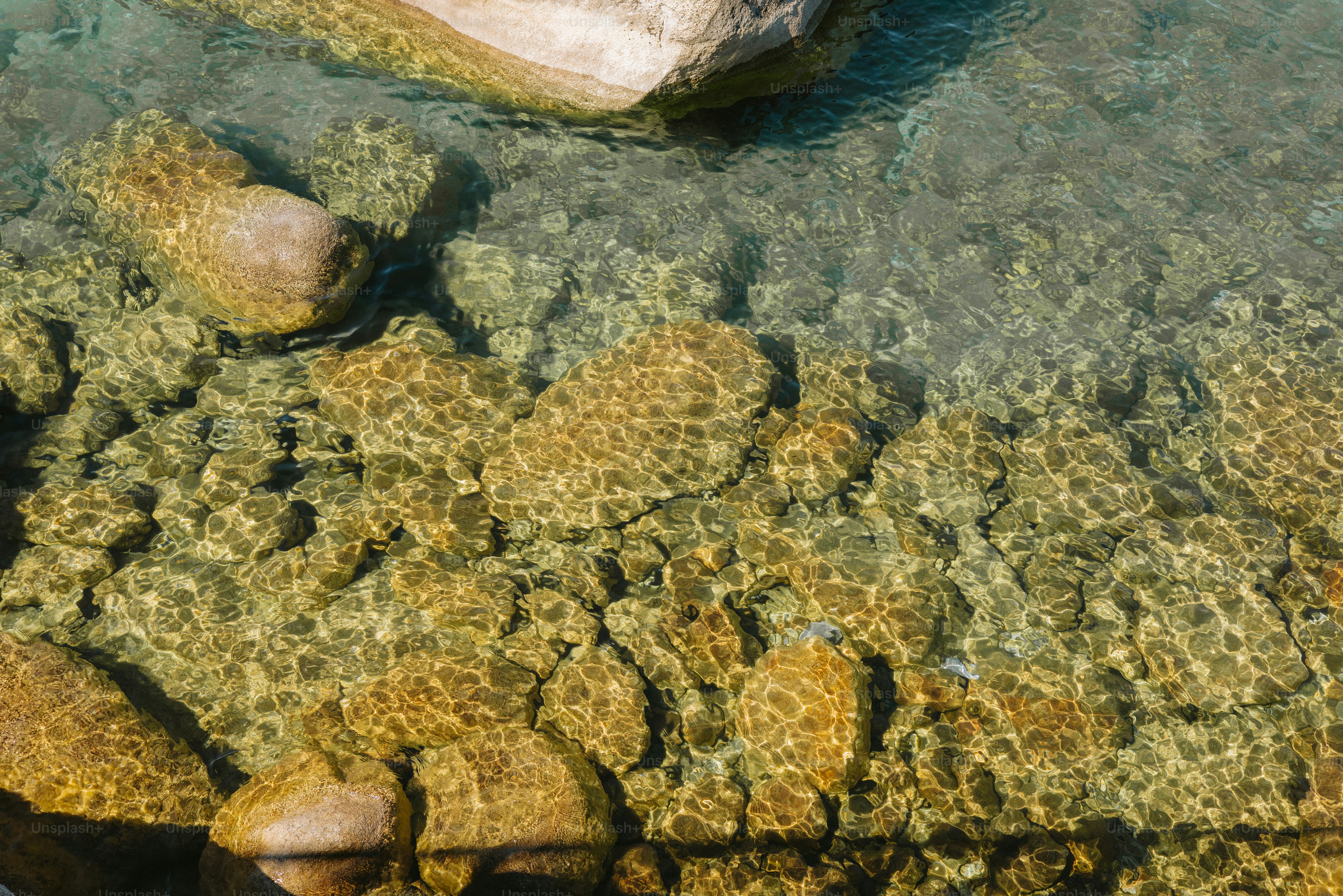Clear water reveals submerged rocks and sunlight. photo – Texture Image ...