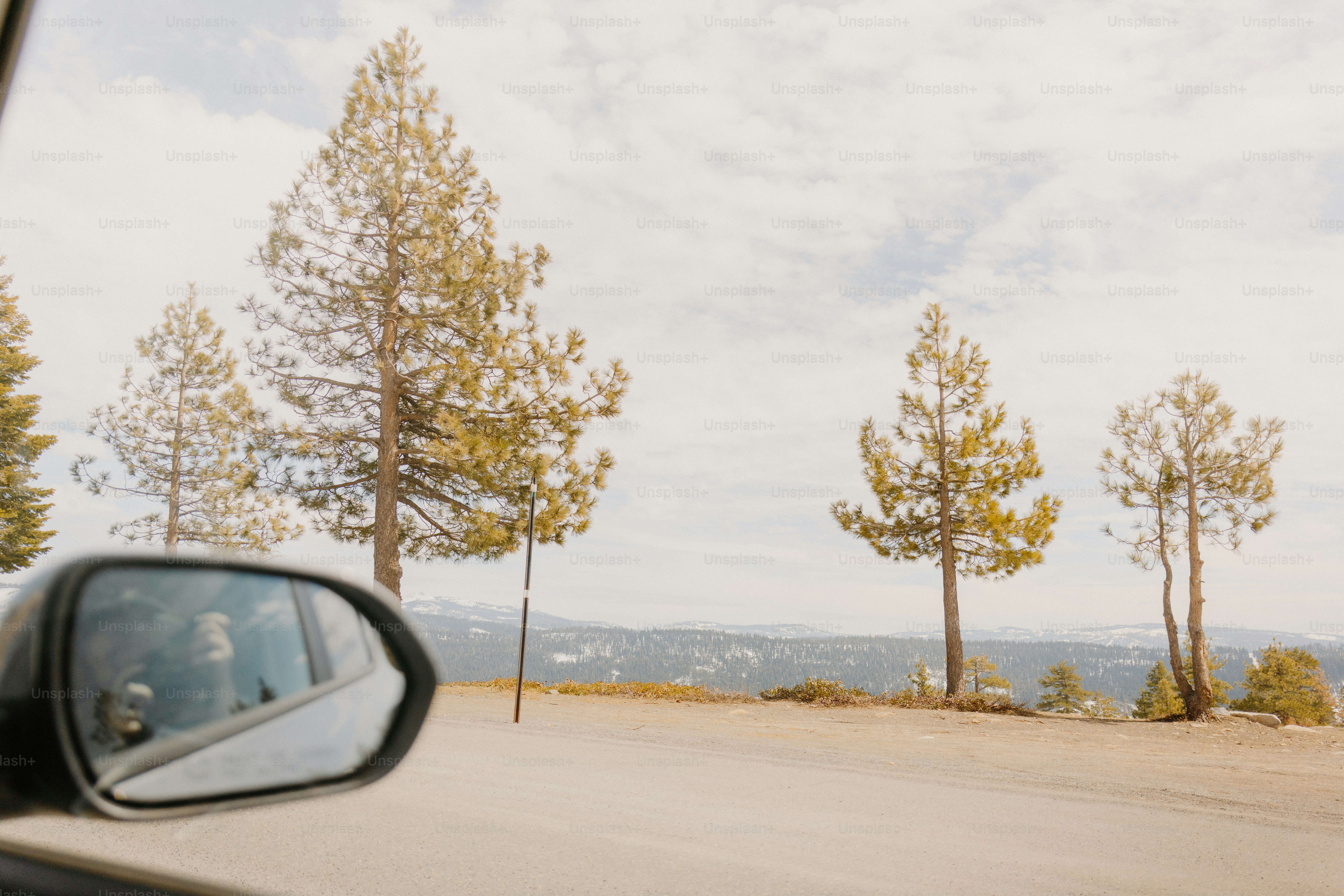 Passing trees and views from a car window. photo – Driving Image on ...