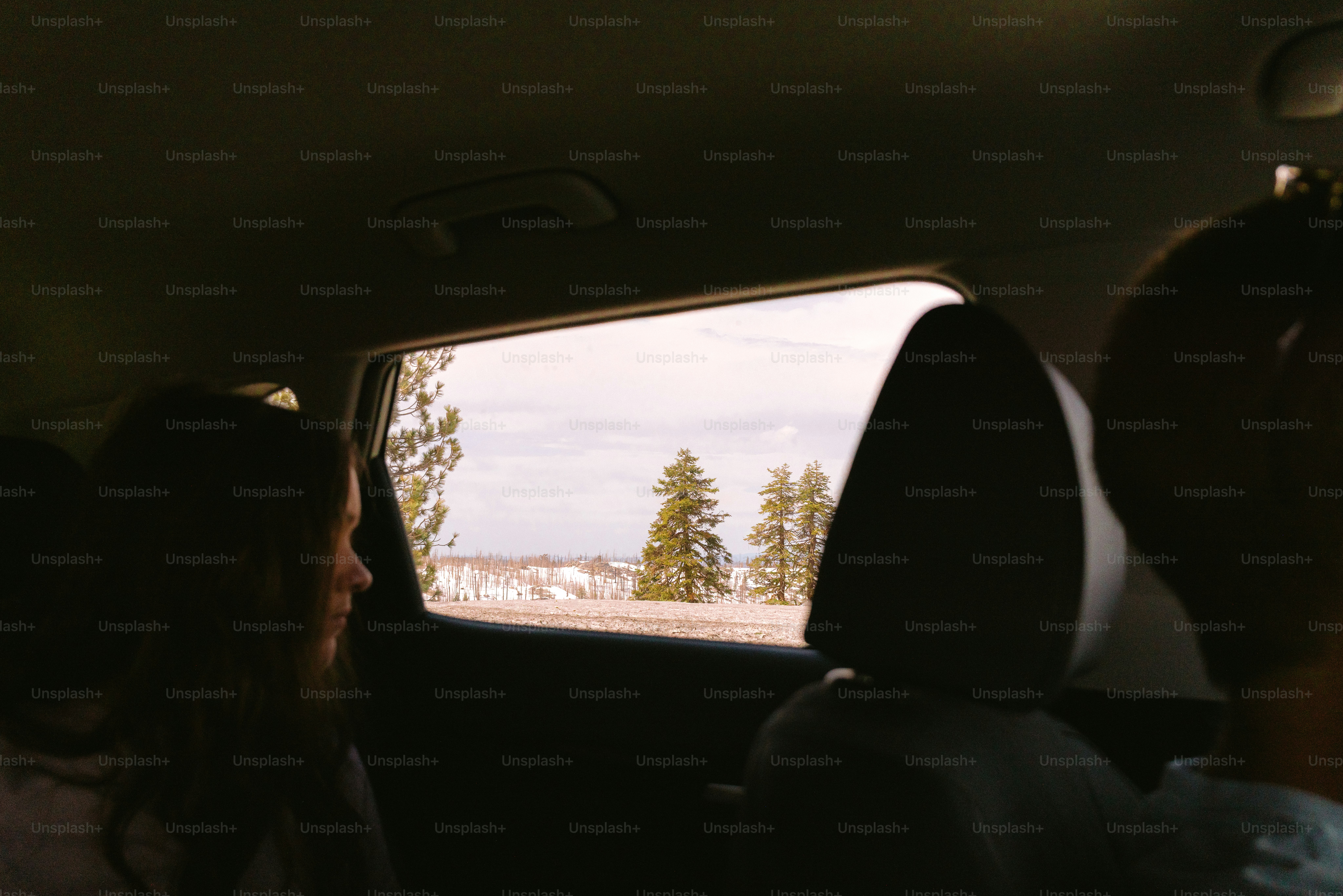 Jaymason Cruising In Car Pictures | Download Free Images on Unsplash