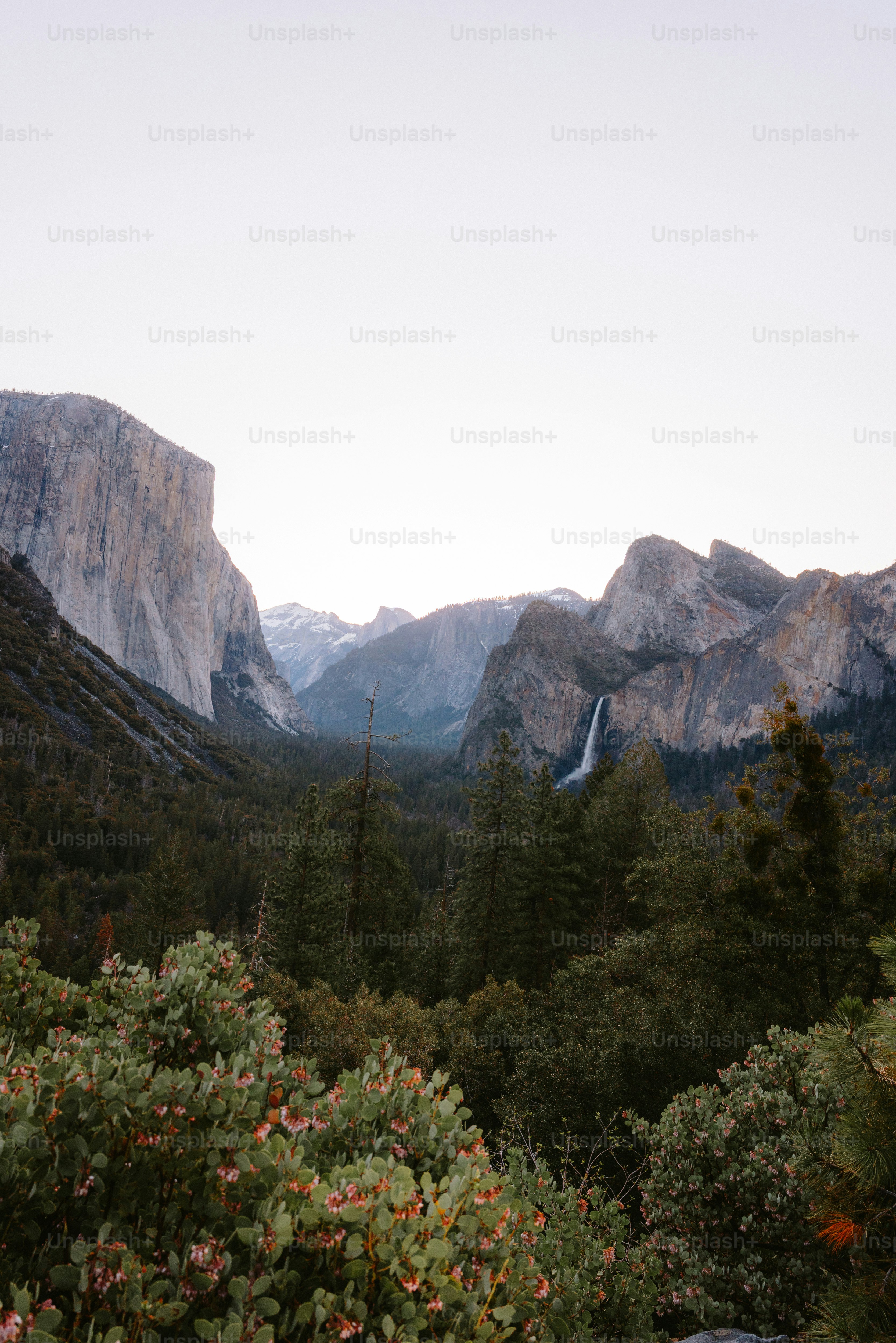 Scenic valley view with a waterfall and mountains. photo – Forest Image ...