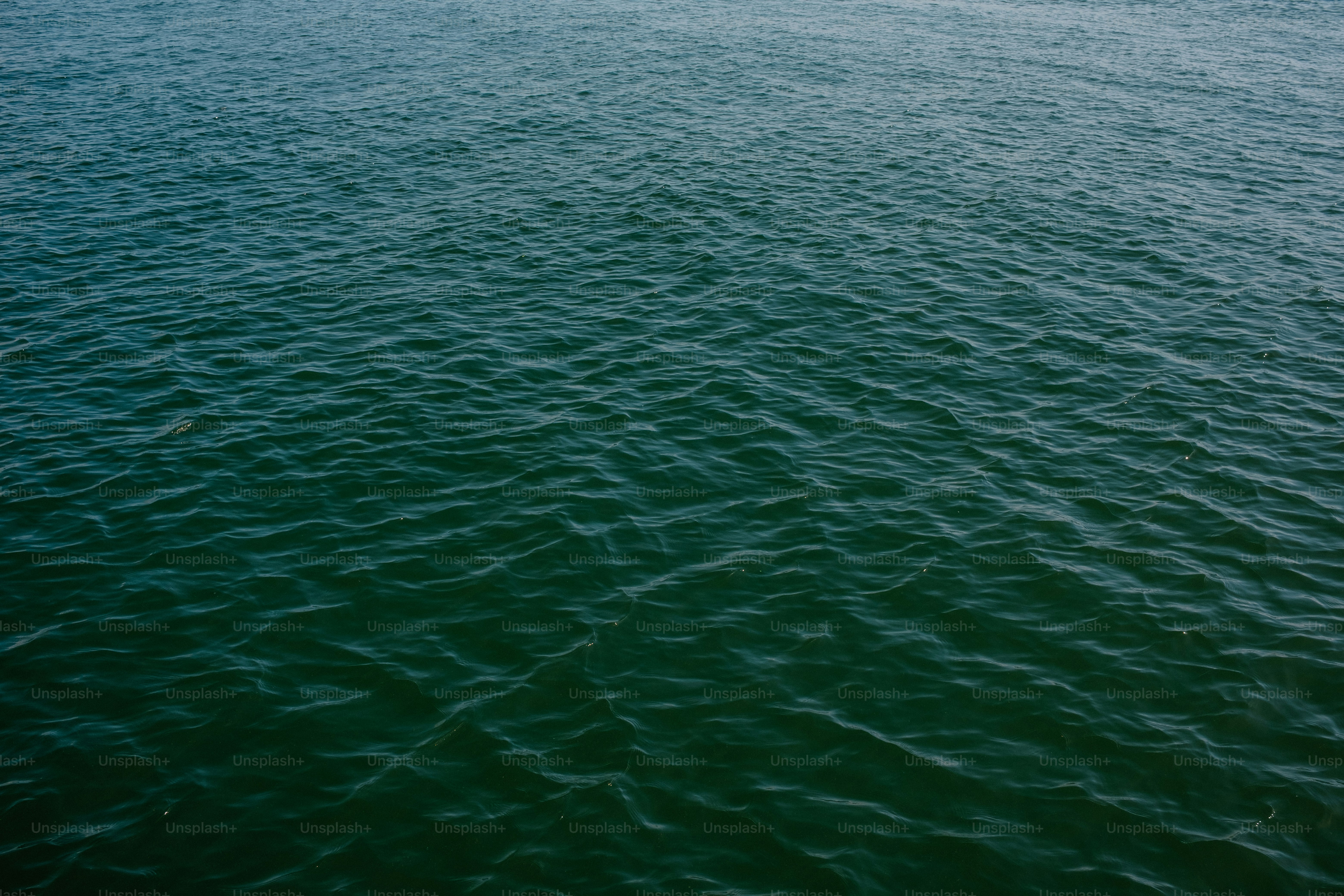Here is a possible caption: calm, undulating ocean water surface. photo ...