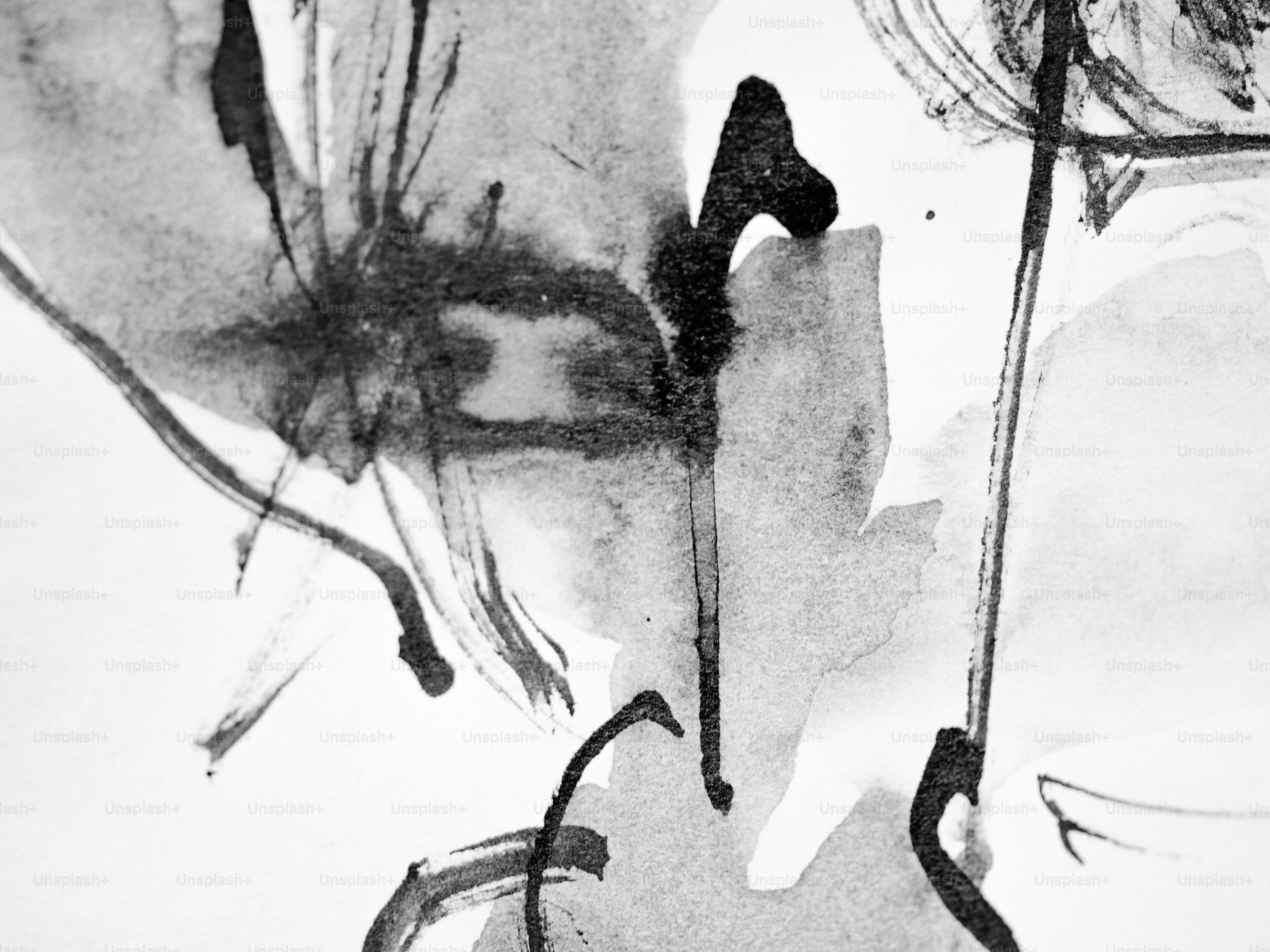 Abstract black ink artwork with watercolor washes. photo – Wallpaper ...