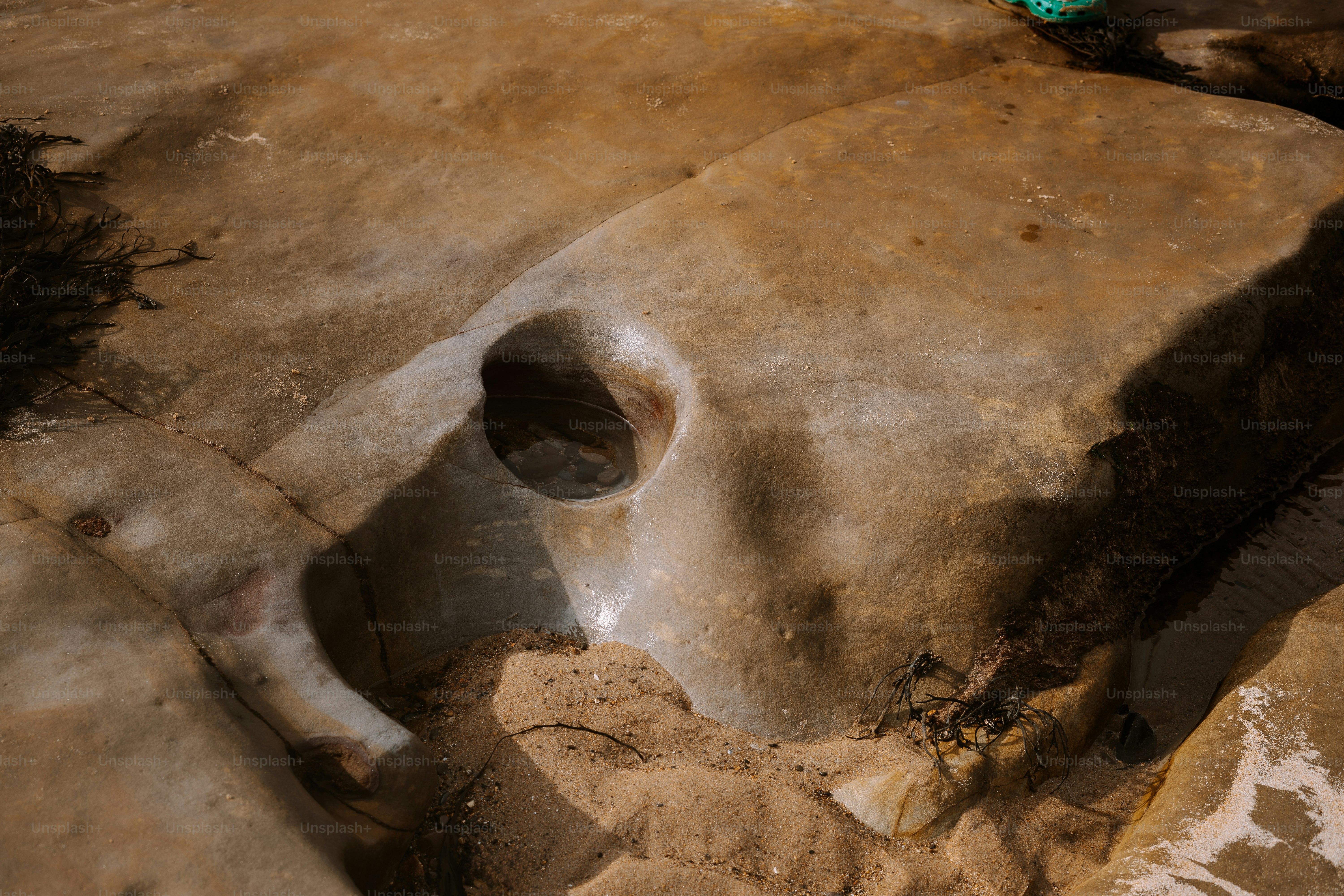 Old Chive Underground Pictures | Download Free Images on Unsplash