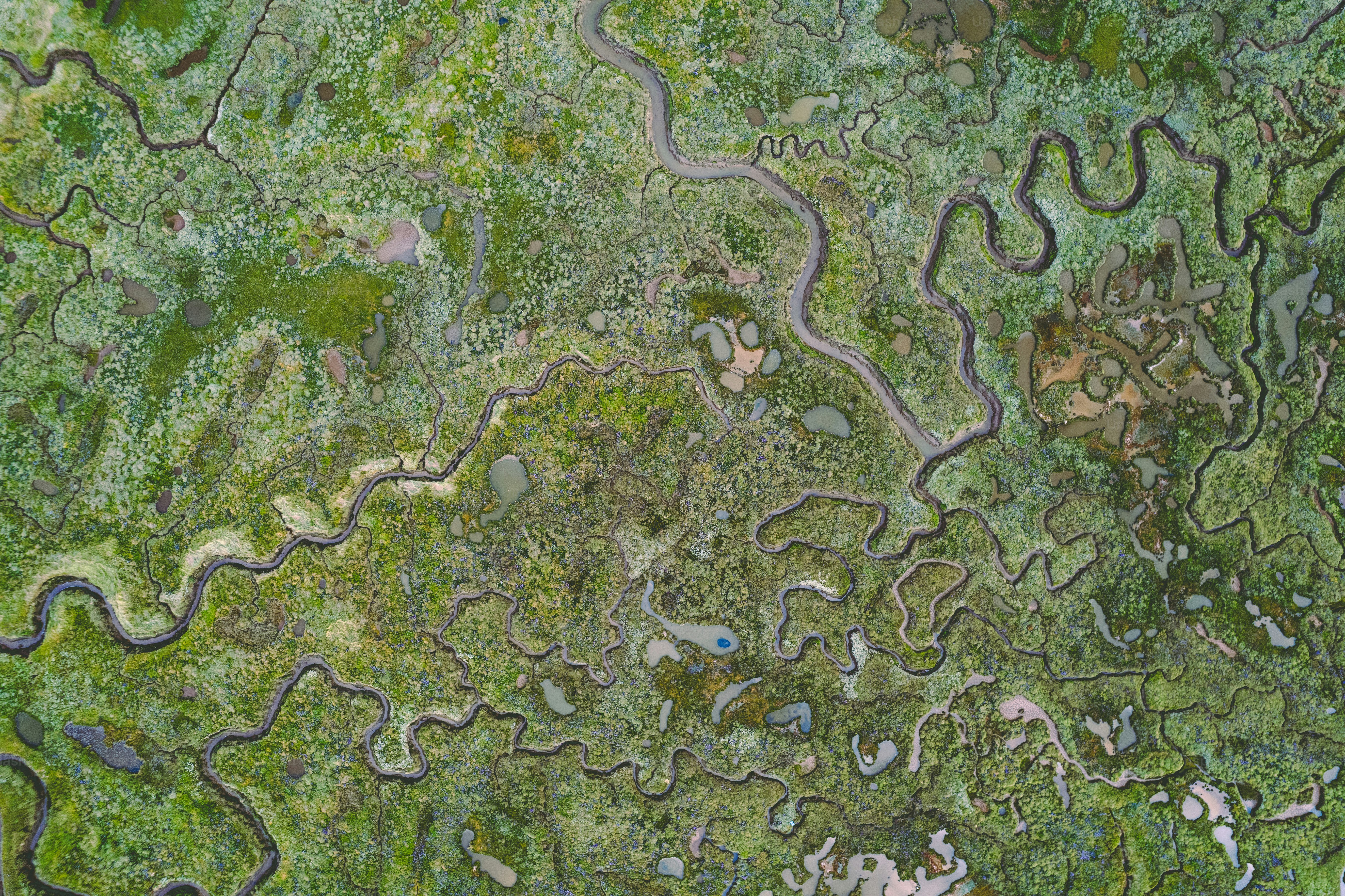 Winding rivers meander through a grassy marsh. photo – Wallpaper Image ...