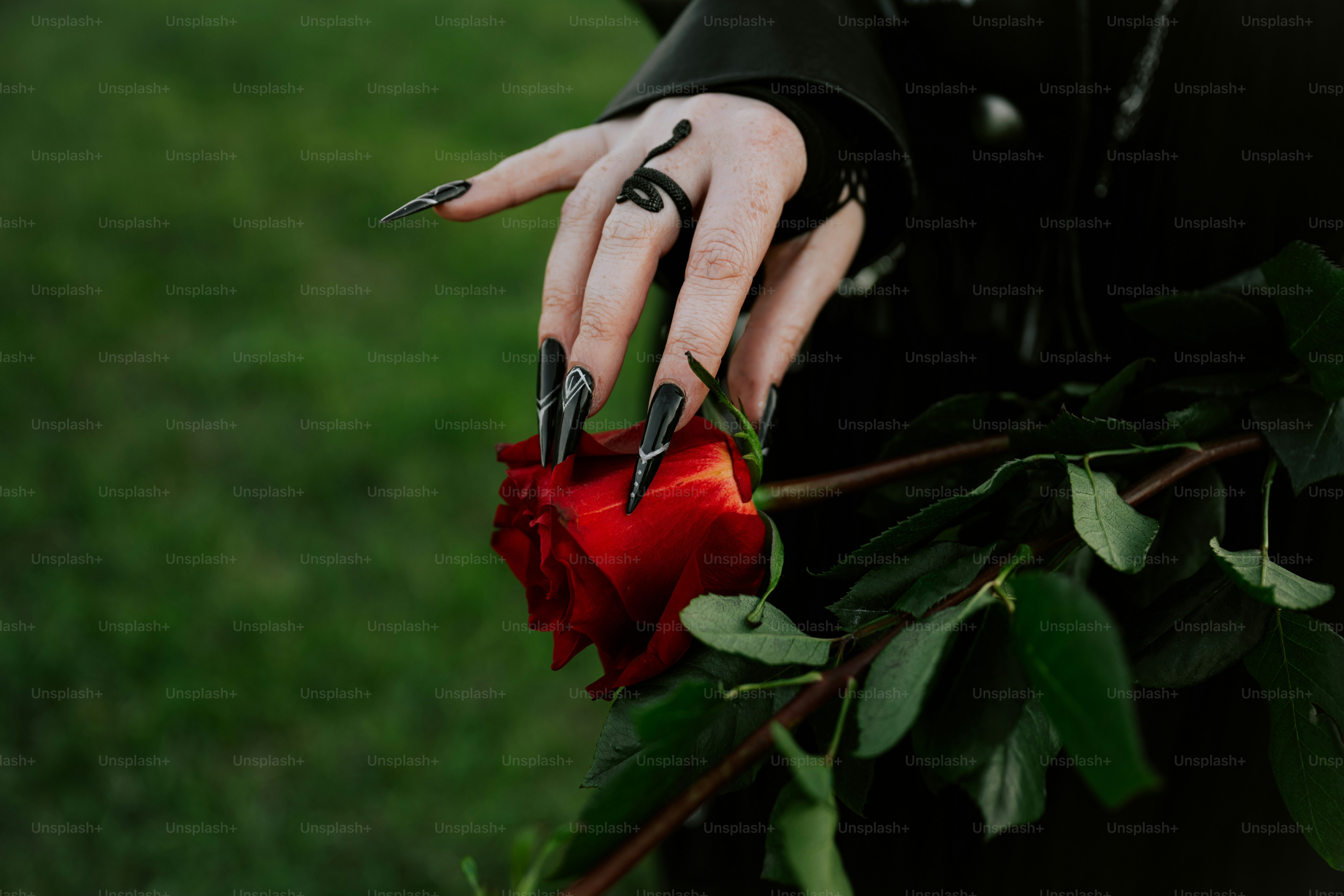 A hand with black nails holds a red rose. photo – Woman Image on Unsplash