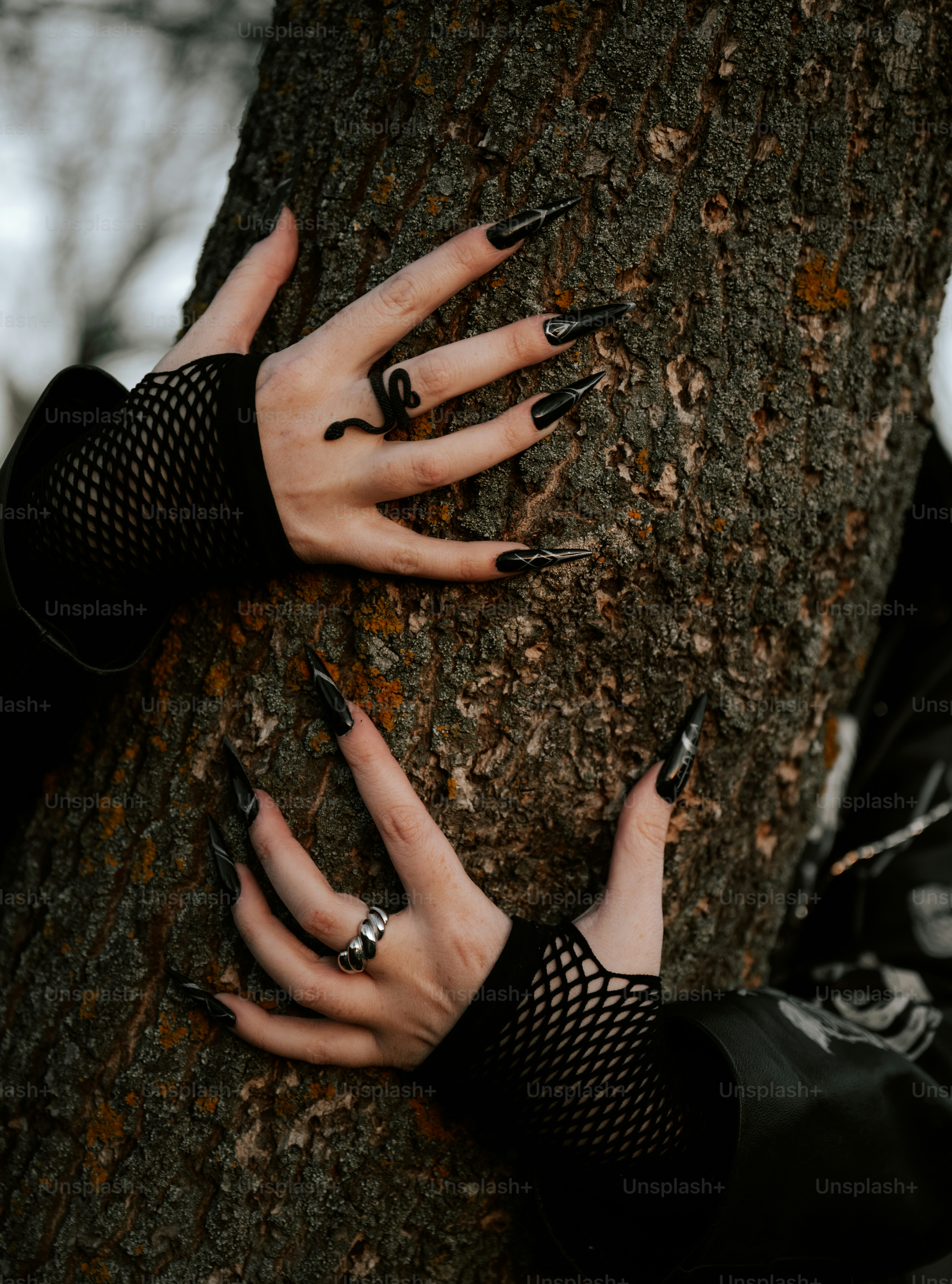 Long, black nails grasp onto a tree trunk. photo – Woman Image on Unsplash