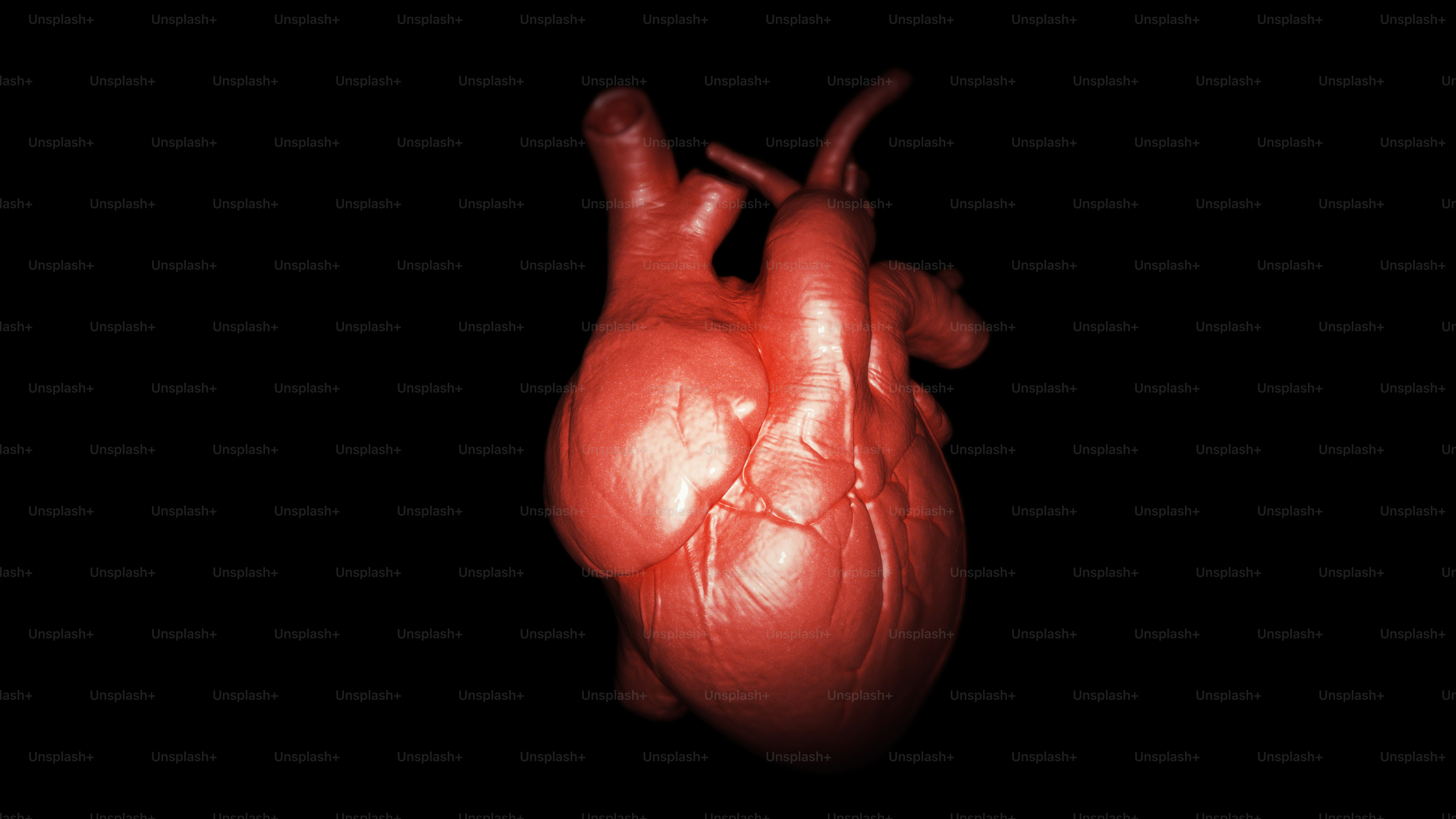 Bing Images Of An Enlarged Heart Pictures | Download Free Images on ...