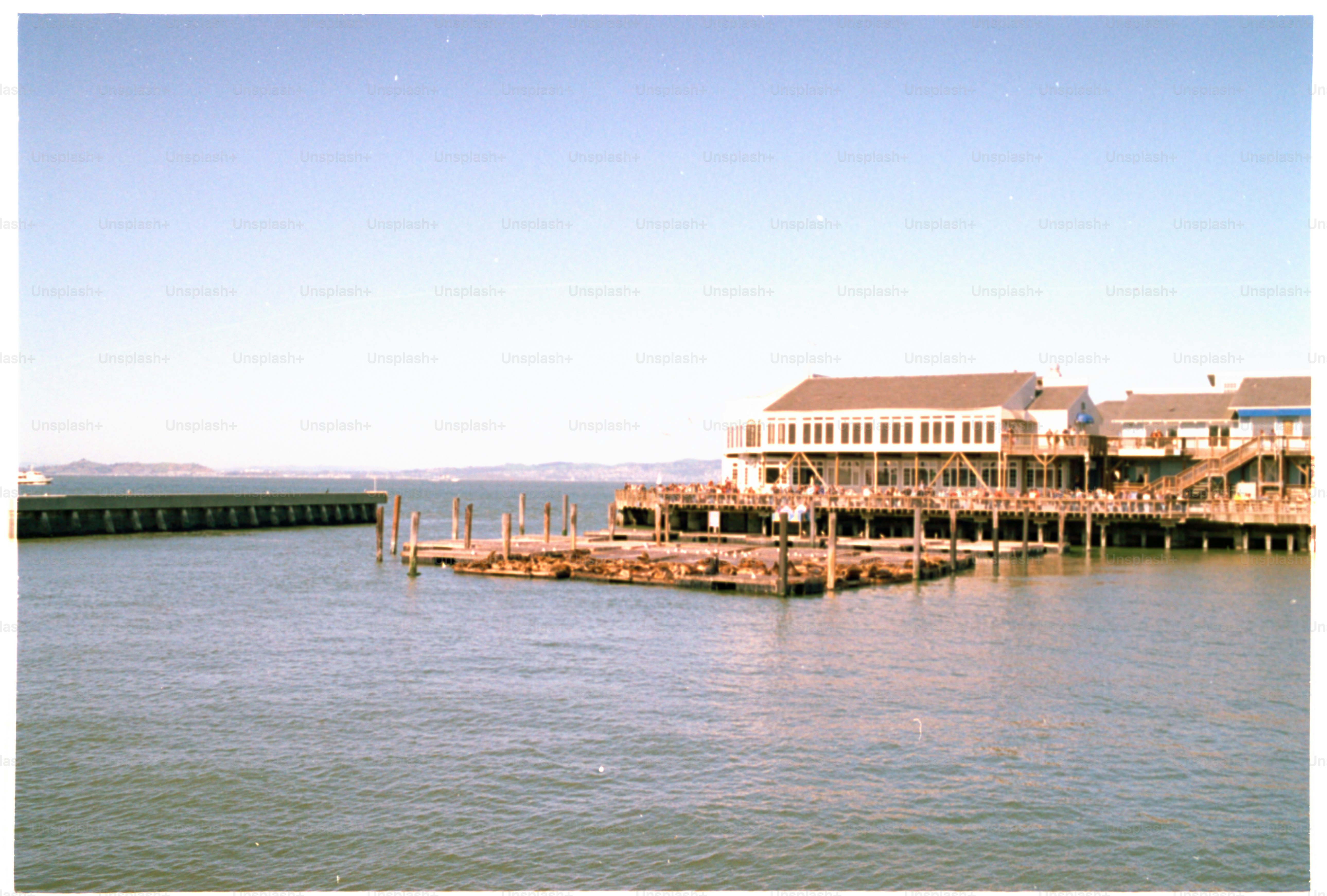 Muelle y edificio sobre el agua bajo un cielo despejado. foto – Imagen de San Francisco en Unsplash