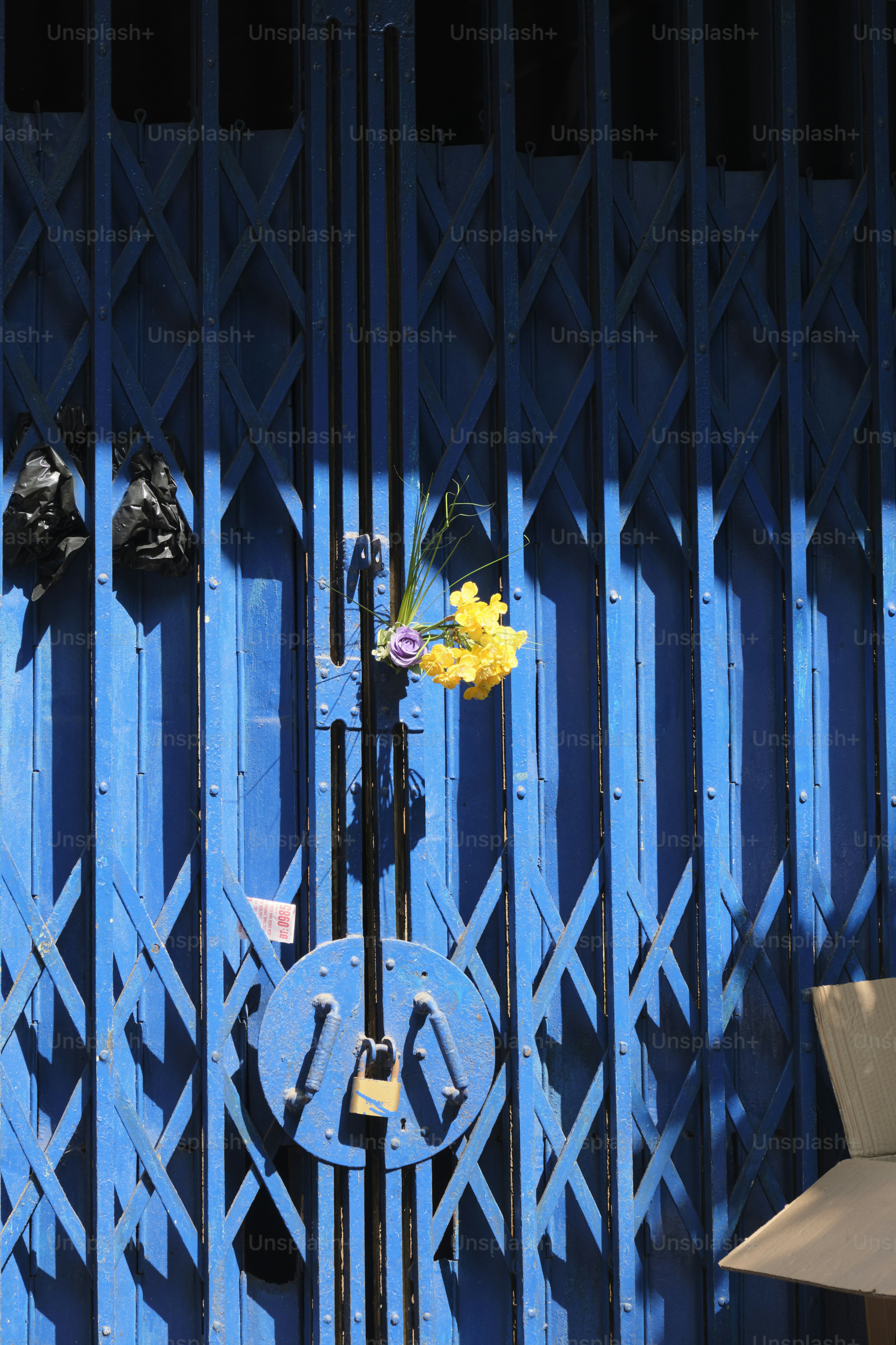 Blue metal gate with flowers and a lock. photo – City Image on Unsplash