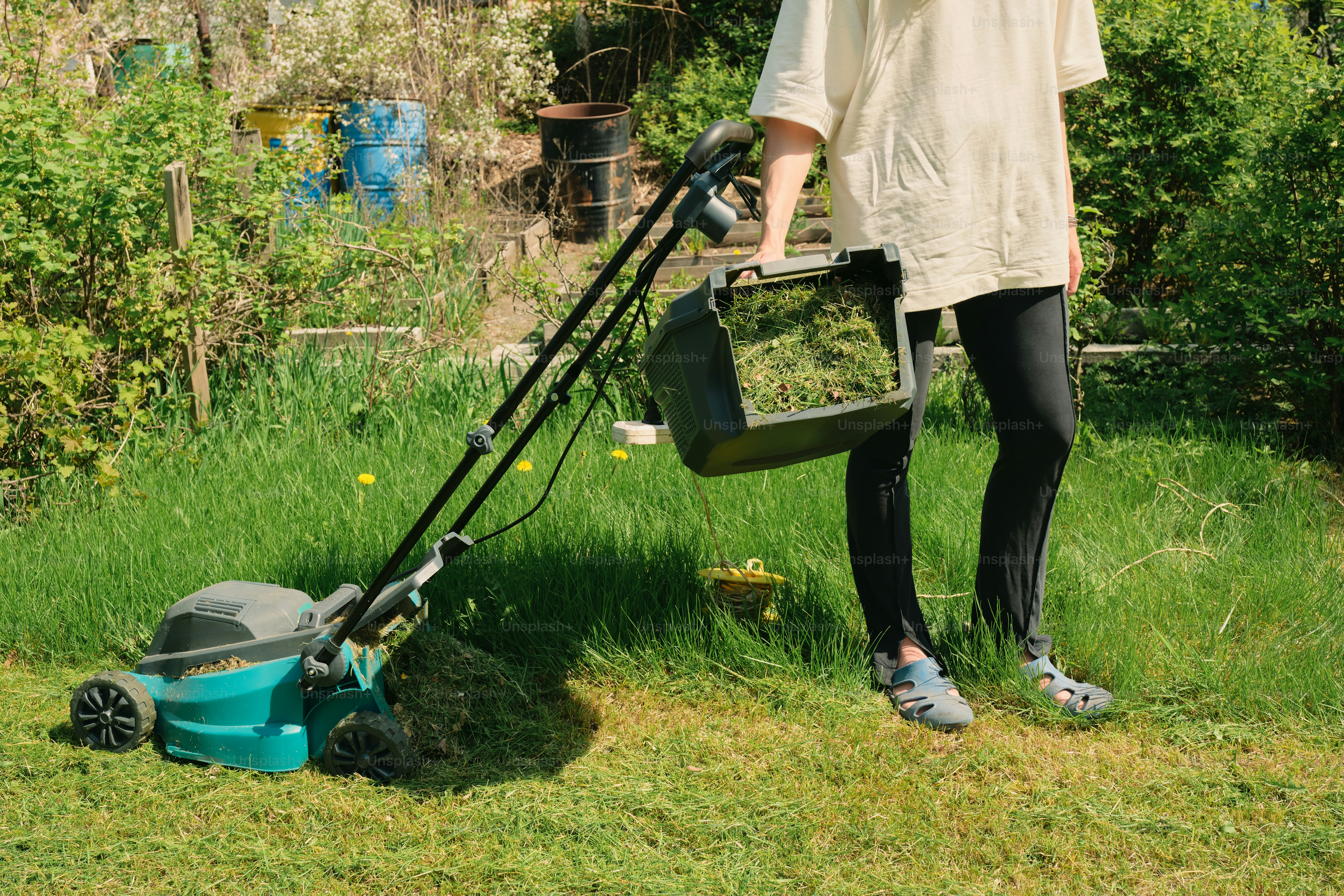 Una persona corta el césped con una cortadora de césped. foto – Imagen ...