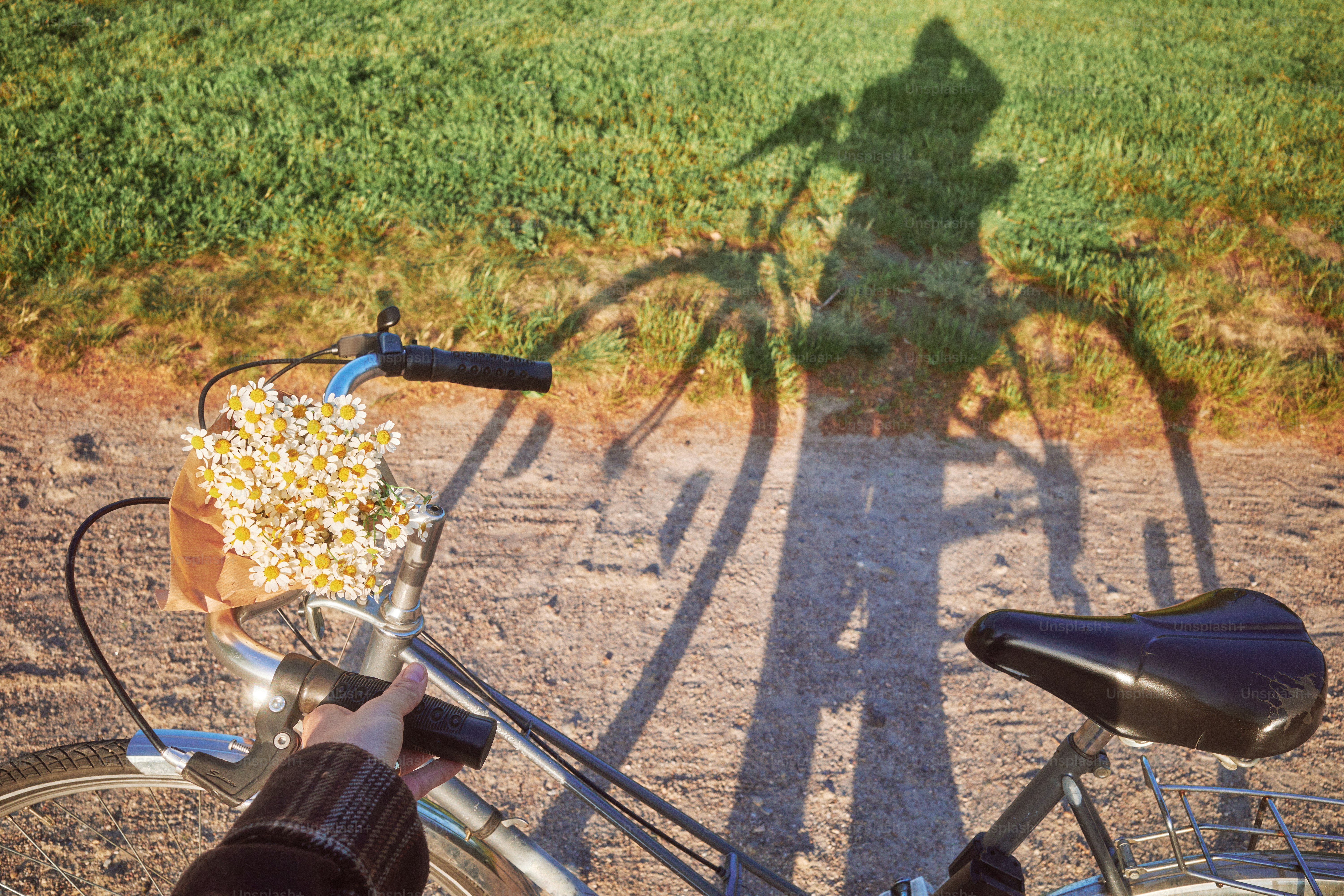 A bicycle holds daisies in a paper bag. photo – Spring Image on Unsplash