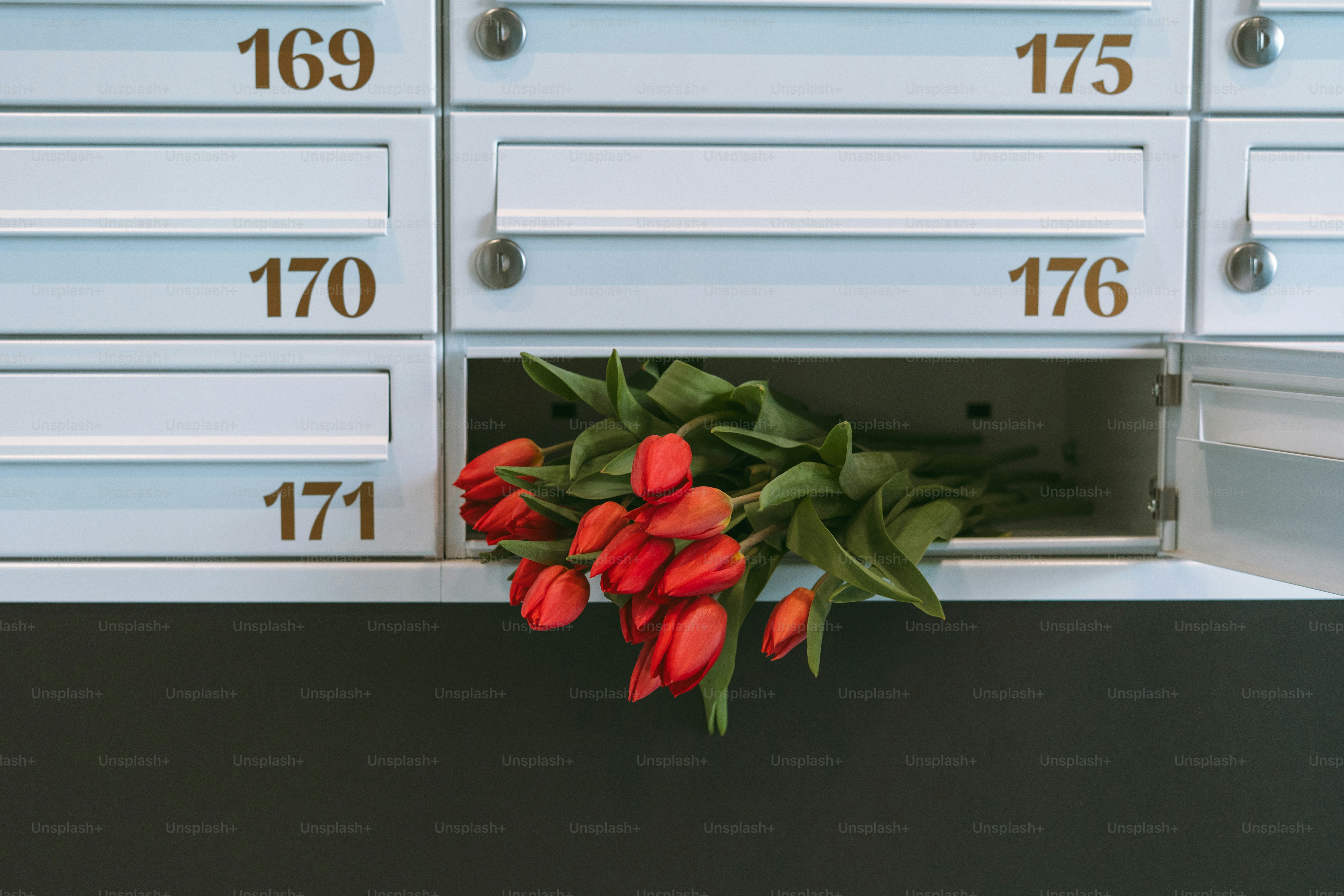 Ip Address Pictures | Download Free Images on Unsplash