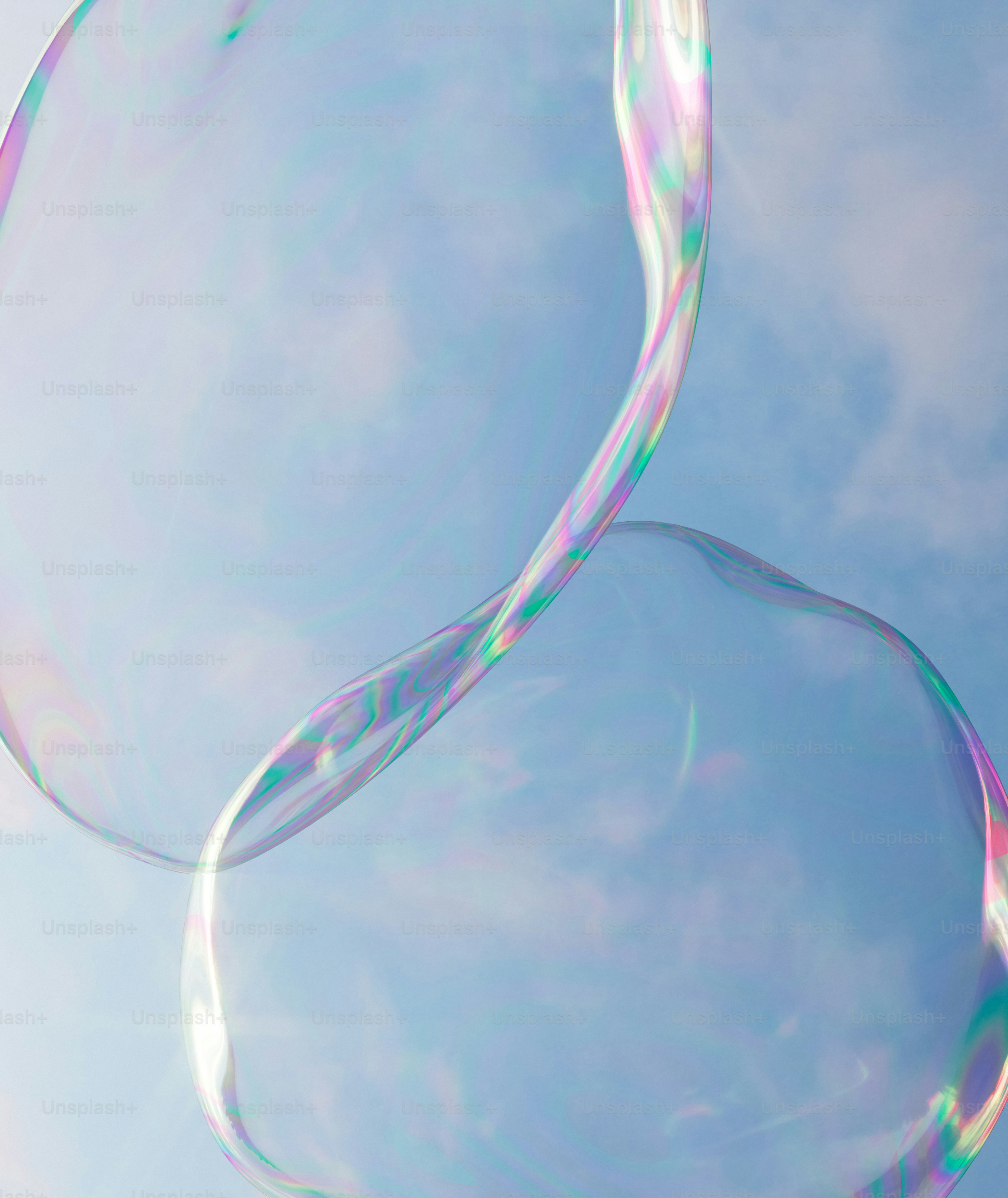 Soap bubbles float in front of green foliage. photo – Abstract Image on ...