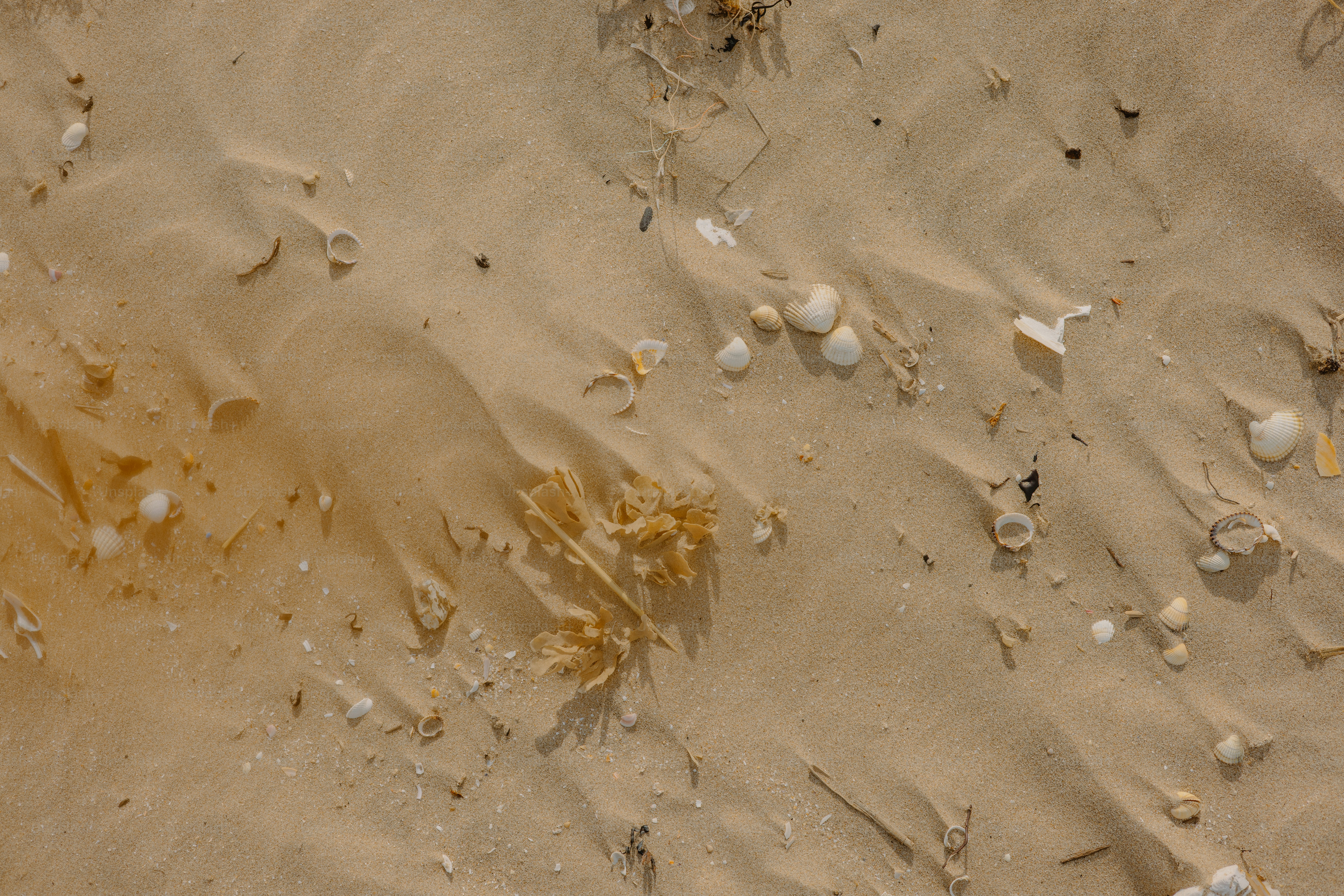 Sand dunes exhibit wavy textures on the beach. photo – Beach Image on ...