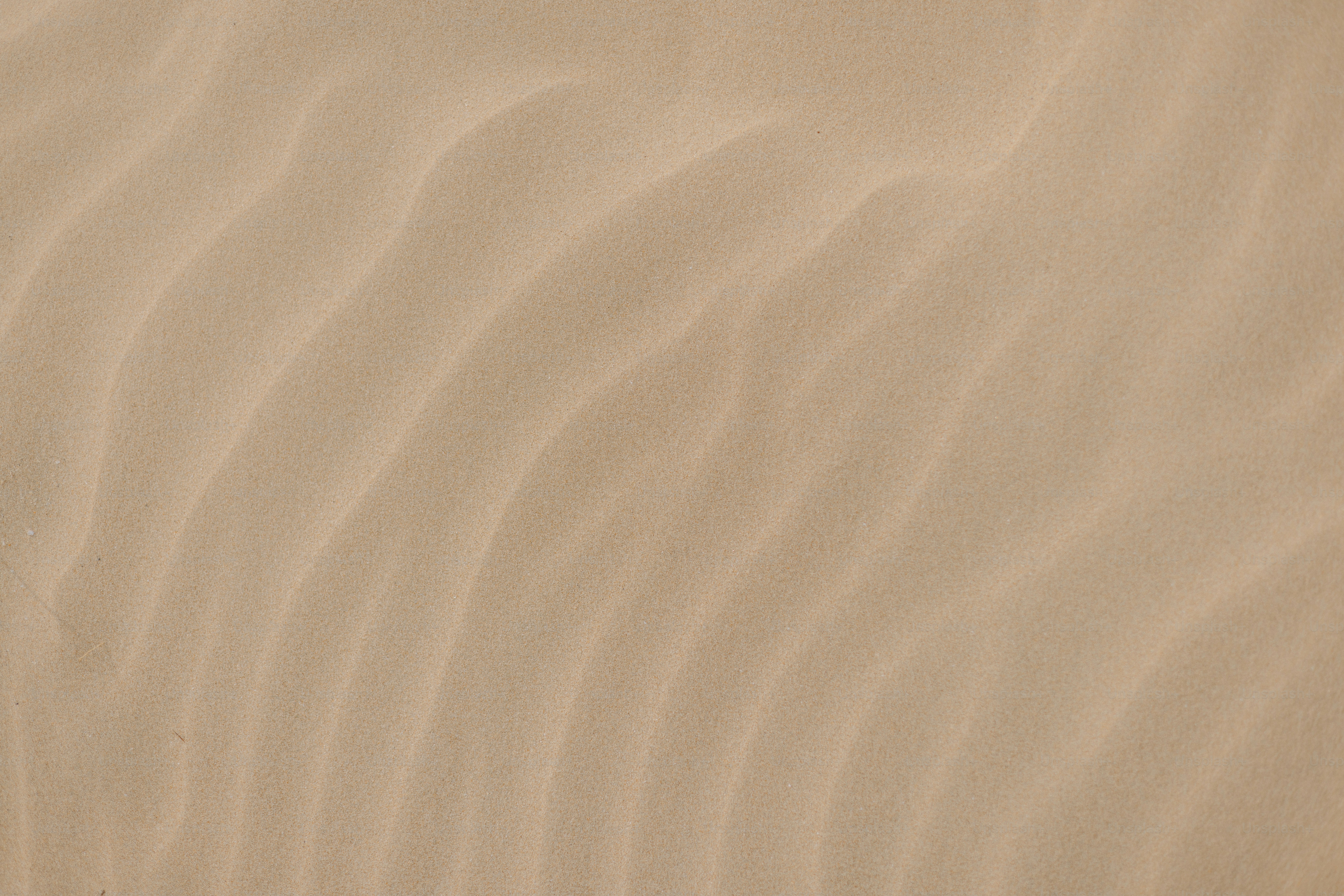 Sandy Background Pictures | Download Free Images on Unsplash
