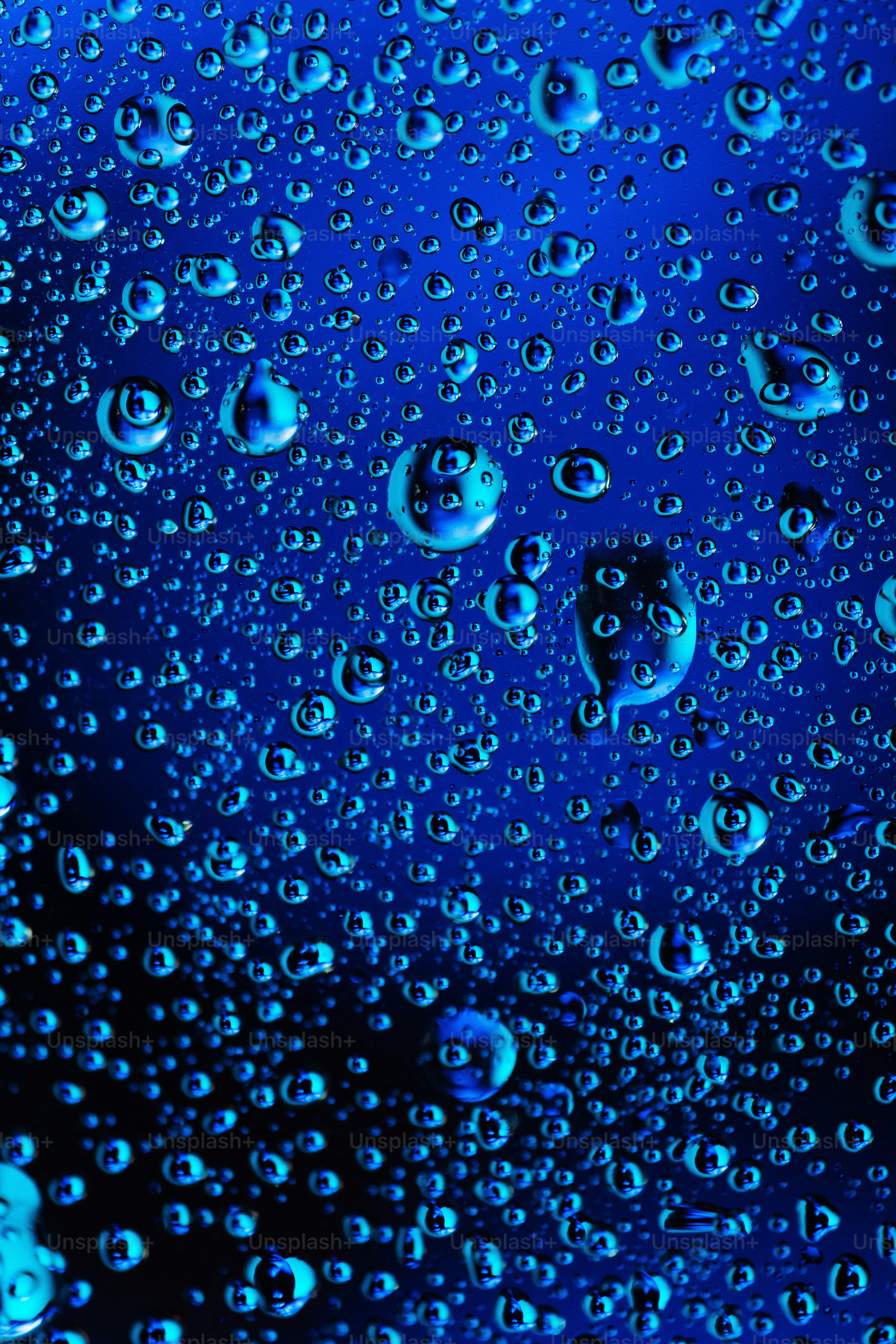 Water droplets glisten on a deep blue surface. photo – Portrait Image ...