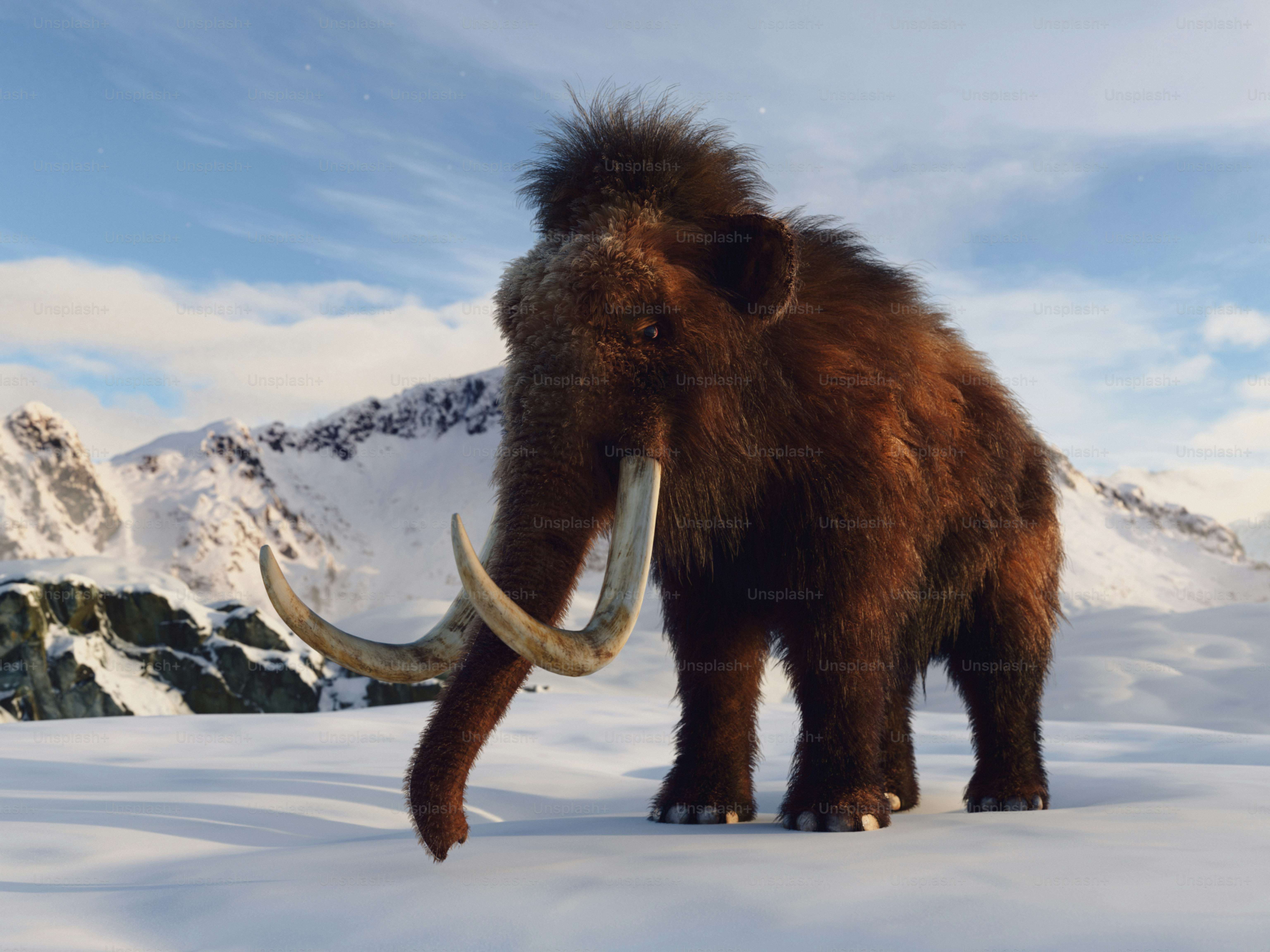 Un mamut se yergue orgulloso en un paisaje nevado. foto – Imagen de ...