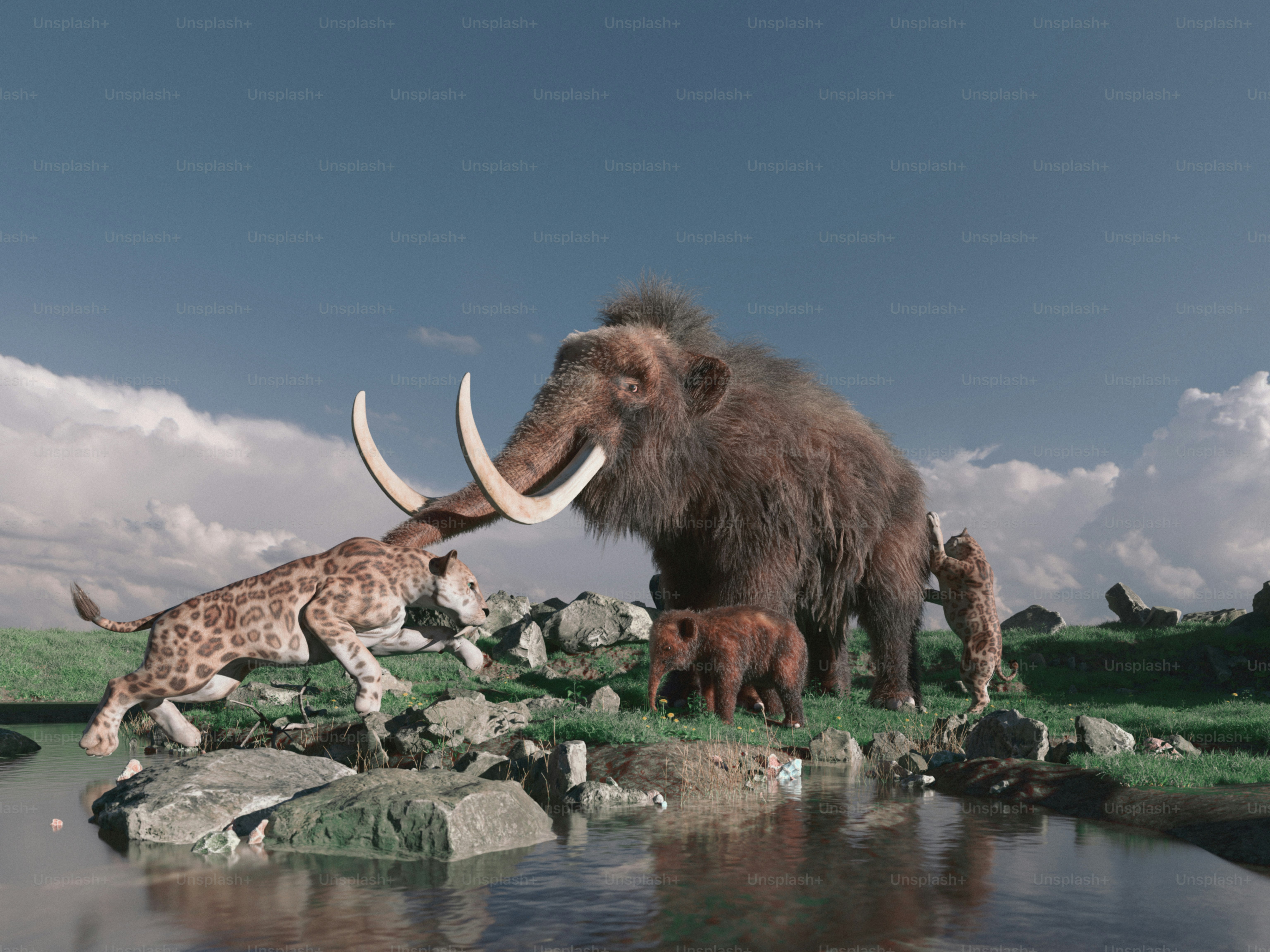 A saber-tooth tiger attacks a woolly mammoth. photo – Cat Image on Unsplash