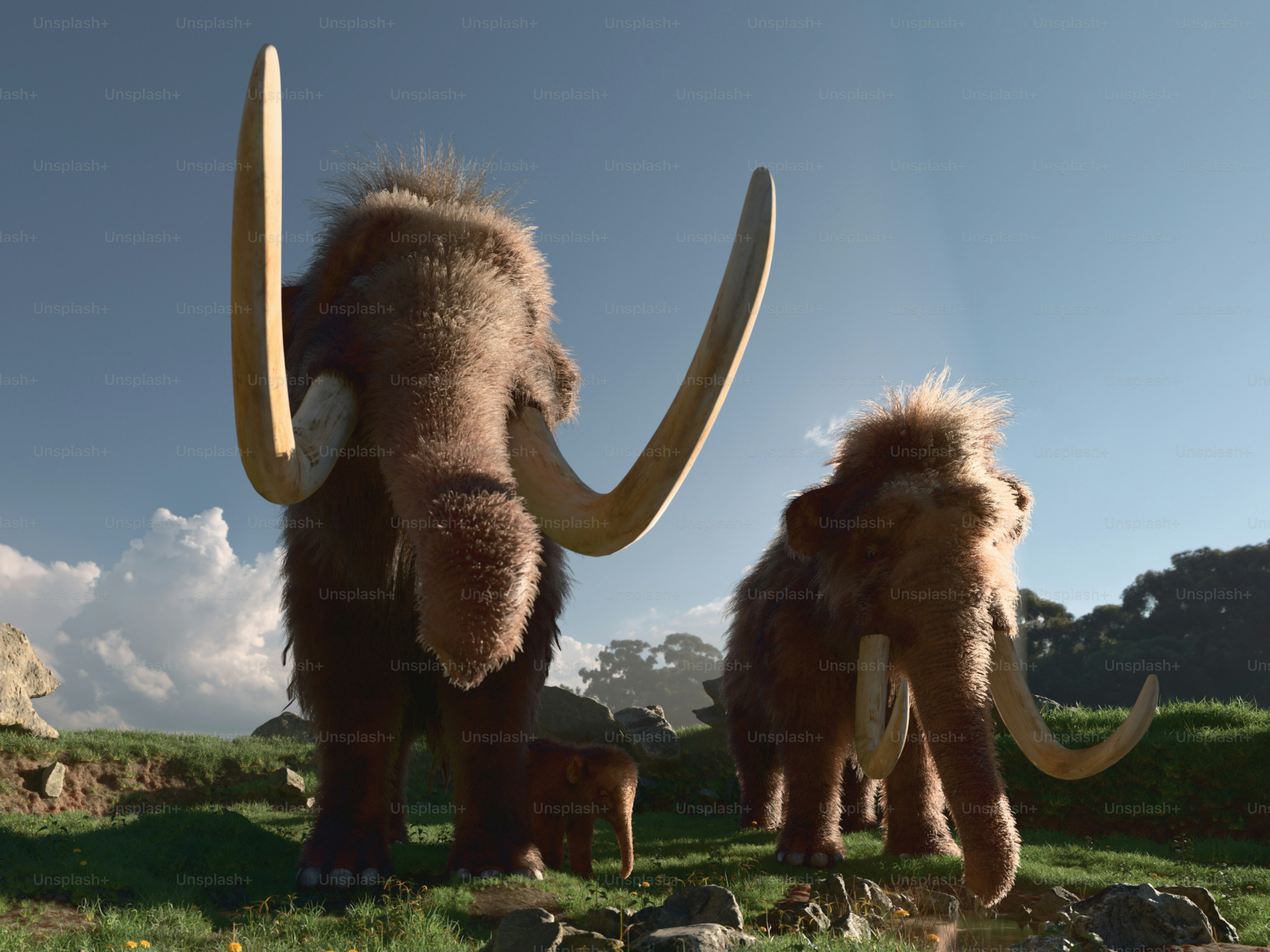 A family of mammoths roams a green landscape. photo – Animals Image on ...