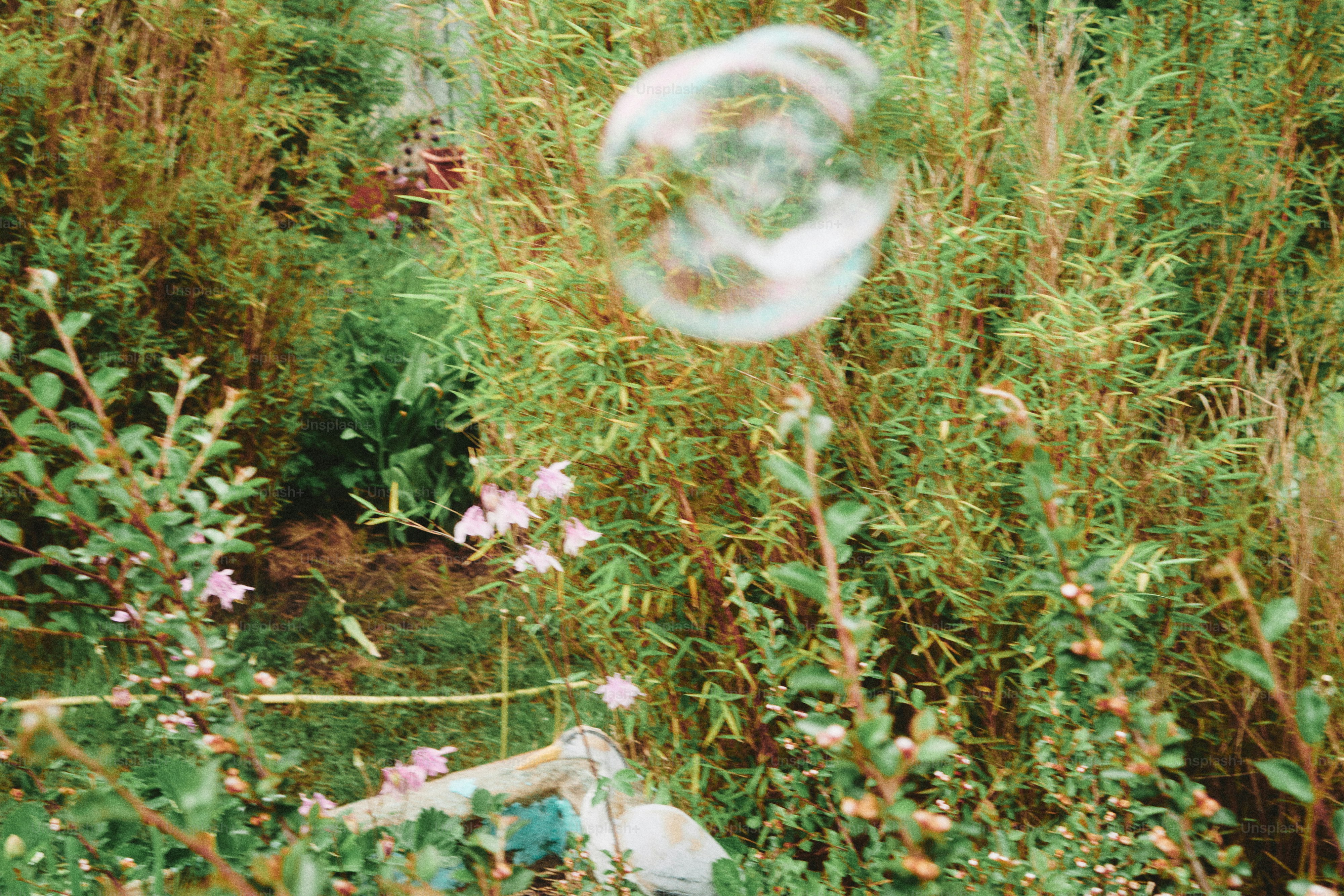 Bubbles float in a cloudy sky. photo – Bubbles Image on Unsplash