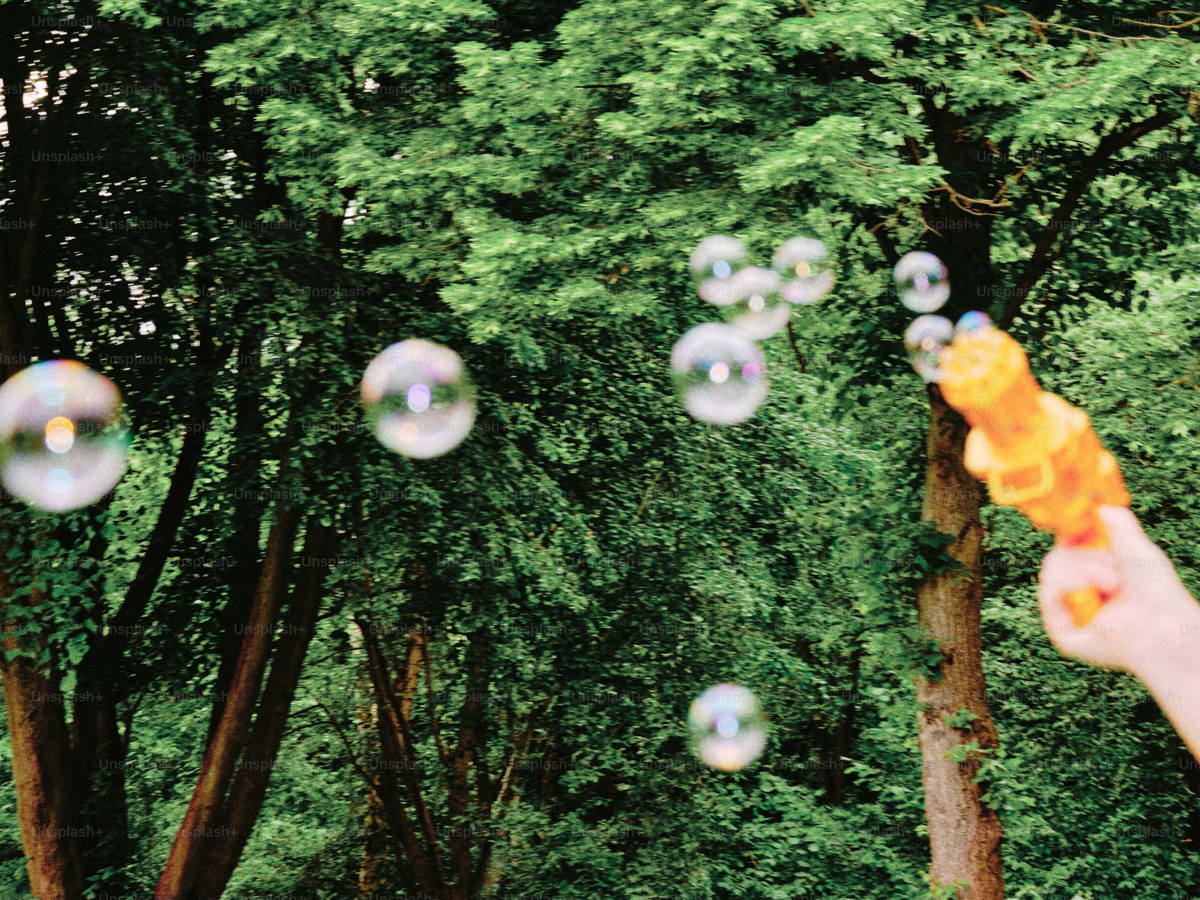 Bubbles float in the air near green trees. photo – Trees Image on Unsplash