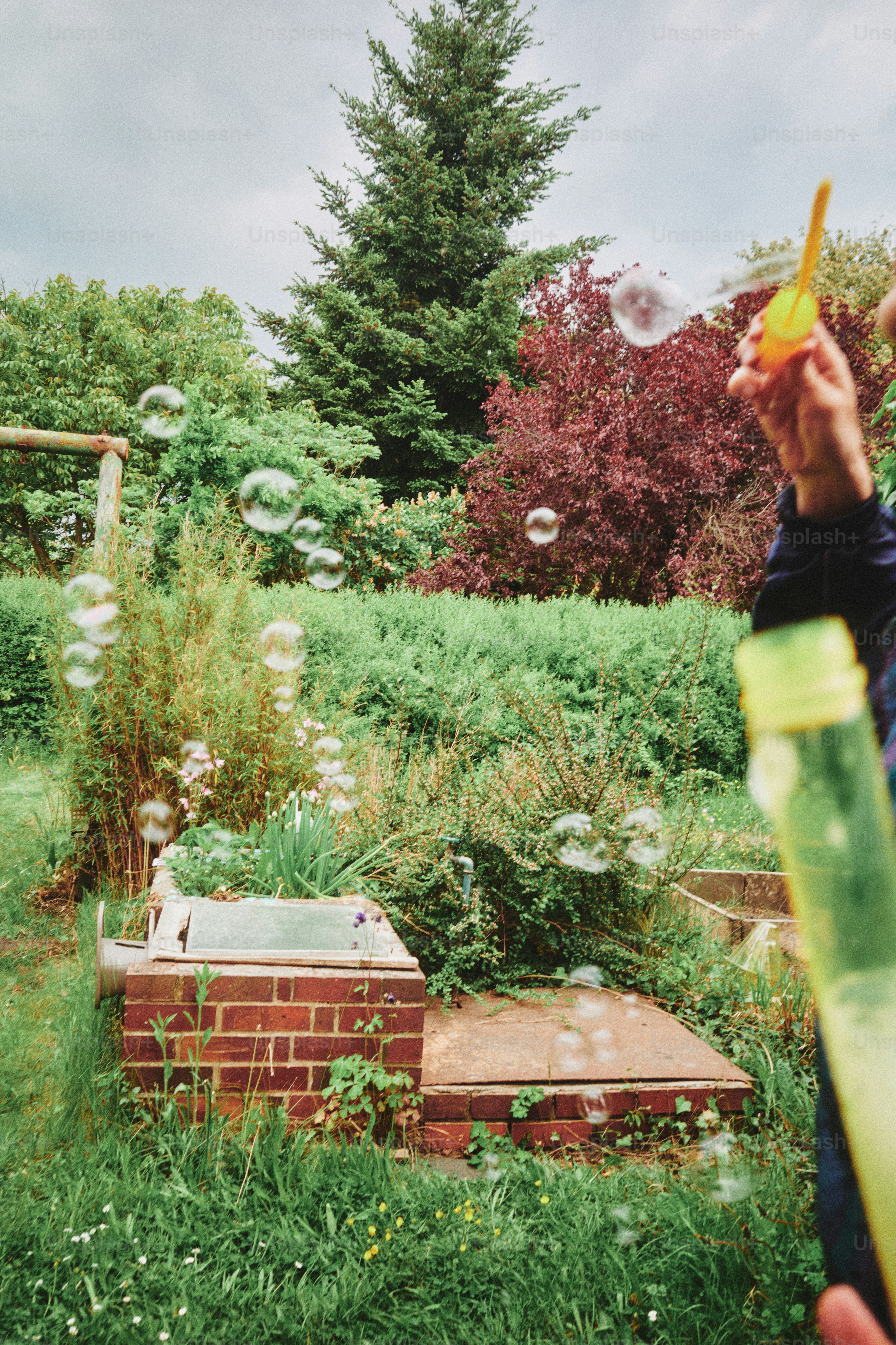 Bubbles float in a backyard with brick details. photo – Bubbles Image ...
