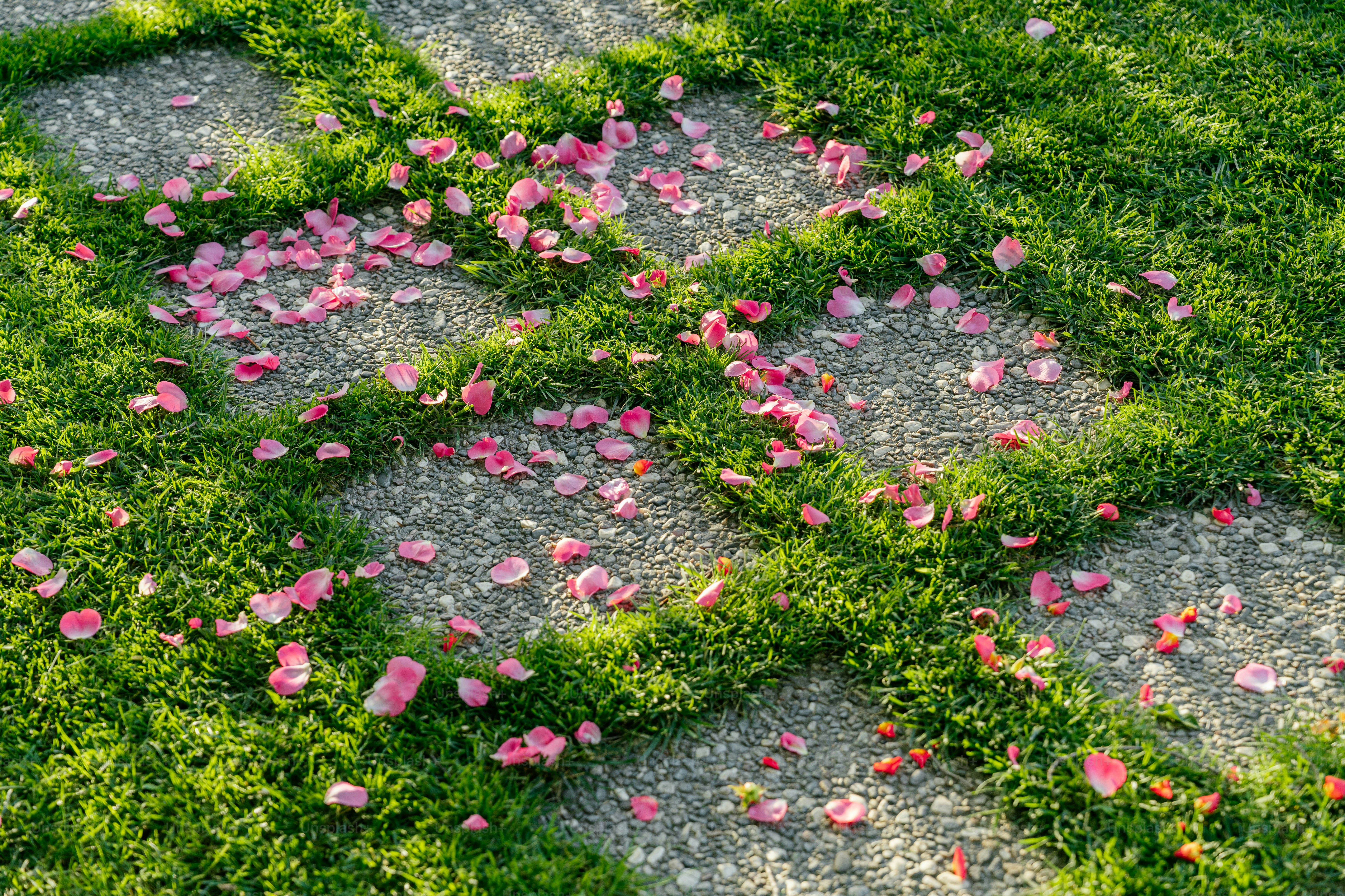 Spring Scene Pictures | Download Free Images on Unsplash