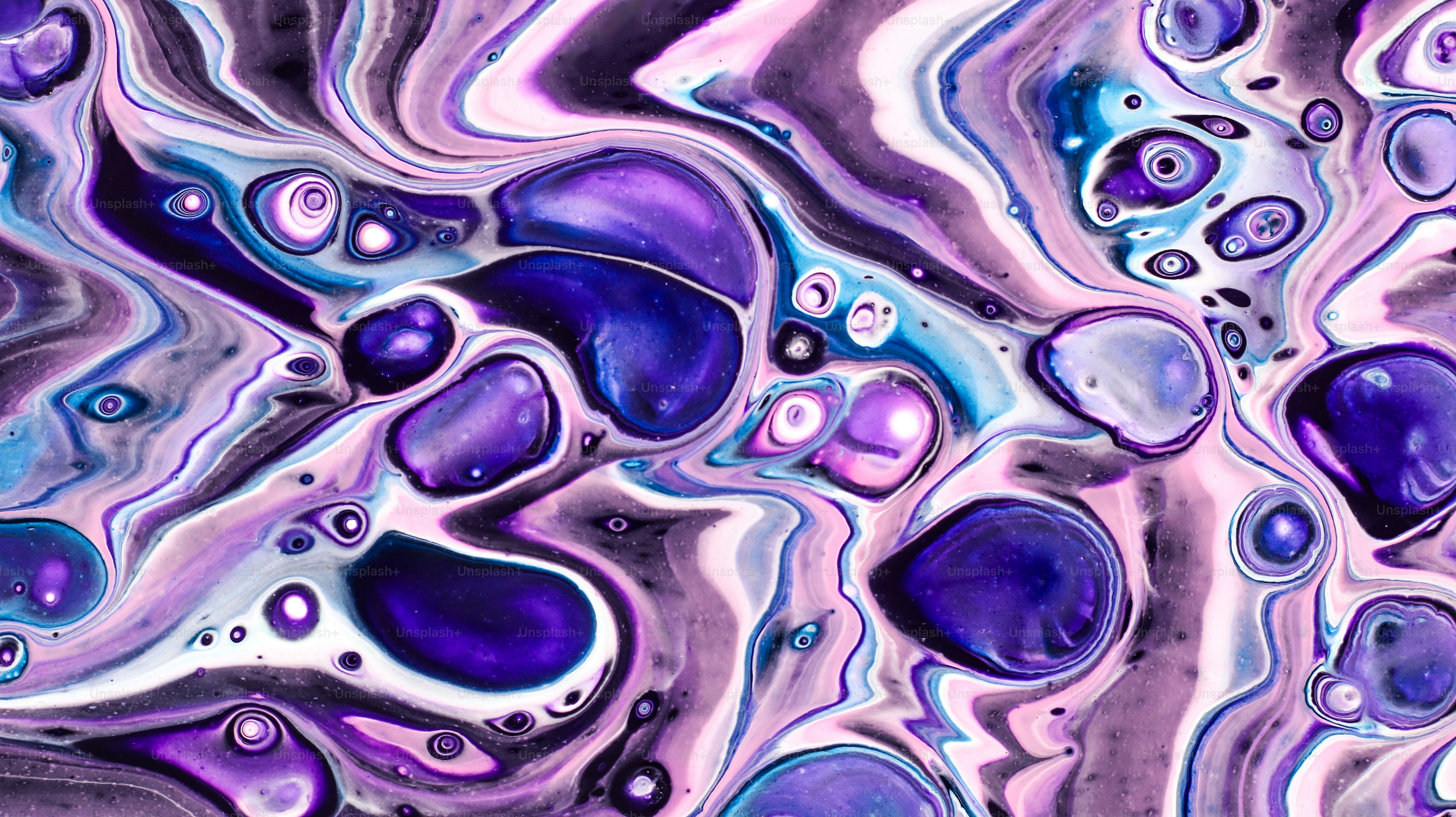 Susan Wilkinson (@susan_wilkinson) | Unsplash Photo Community