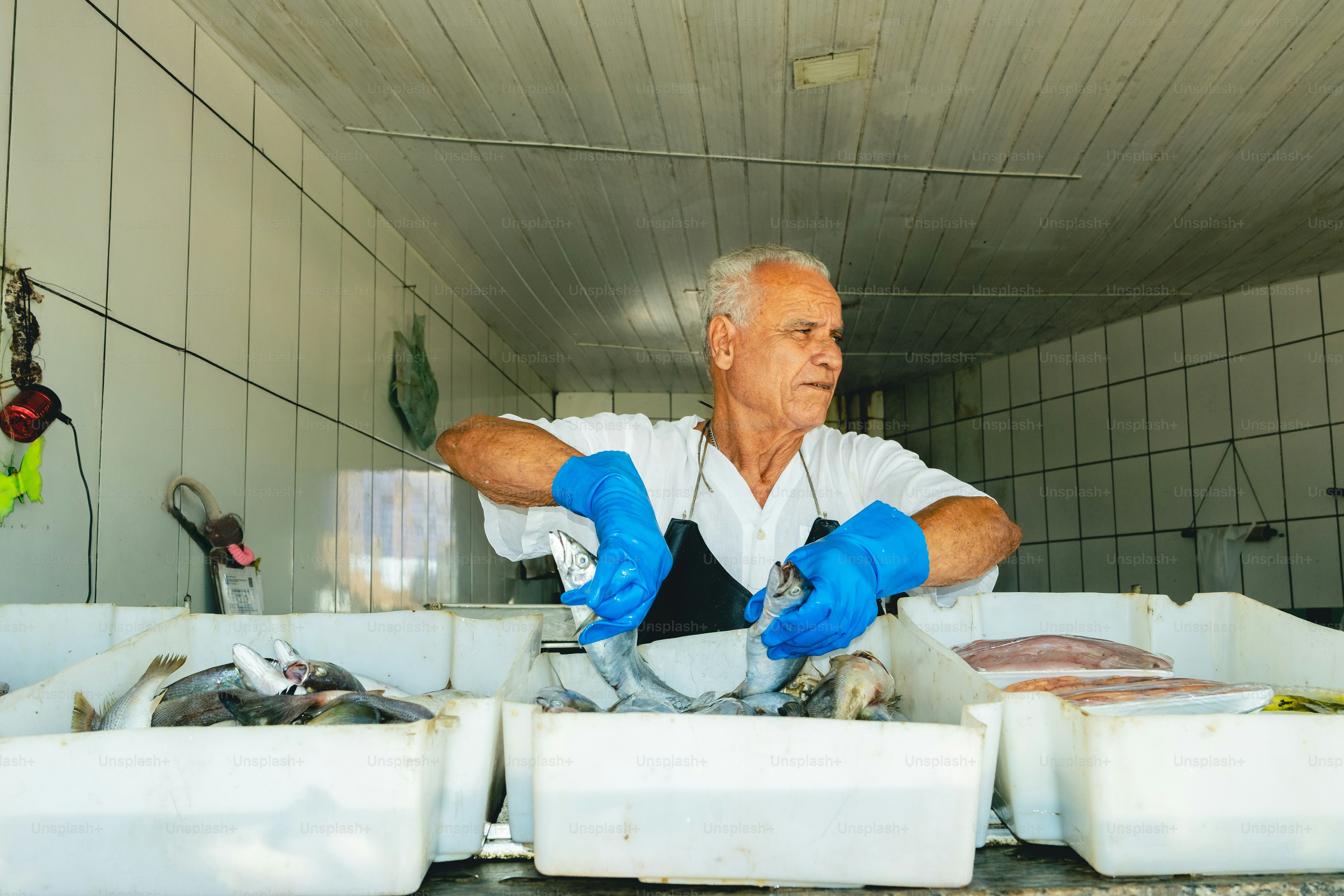 Fish is being weighed at a fish market. photo – Flash Image on Unsplash