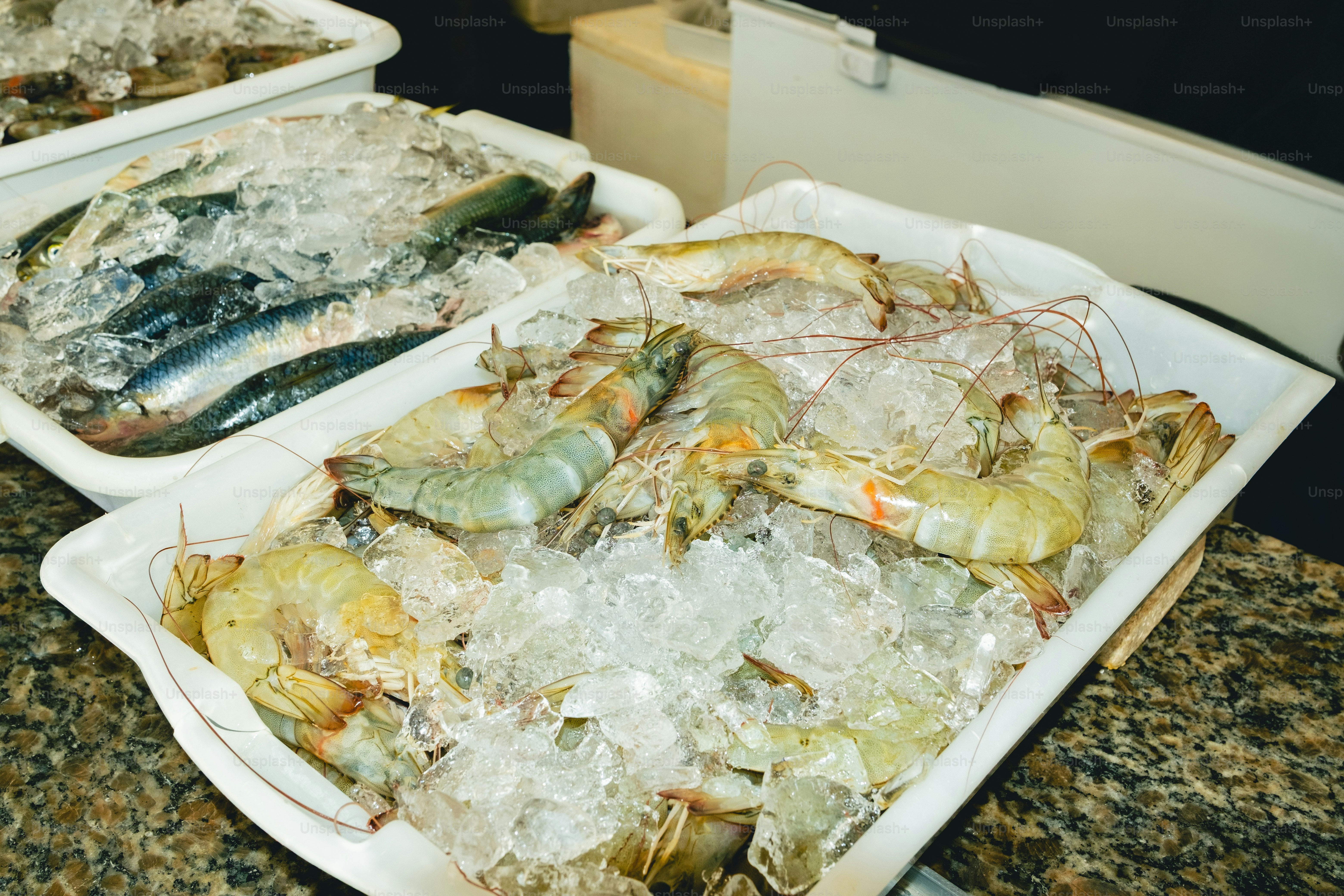 Seafood Gif Pictures | Download Free Images on Unsplash