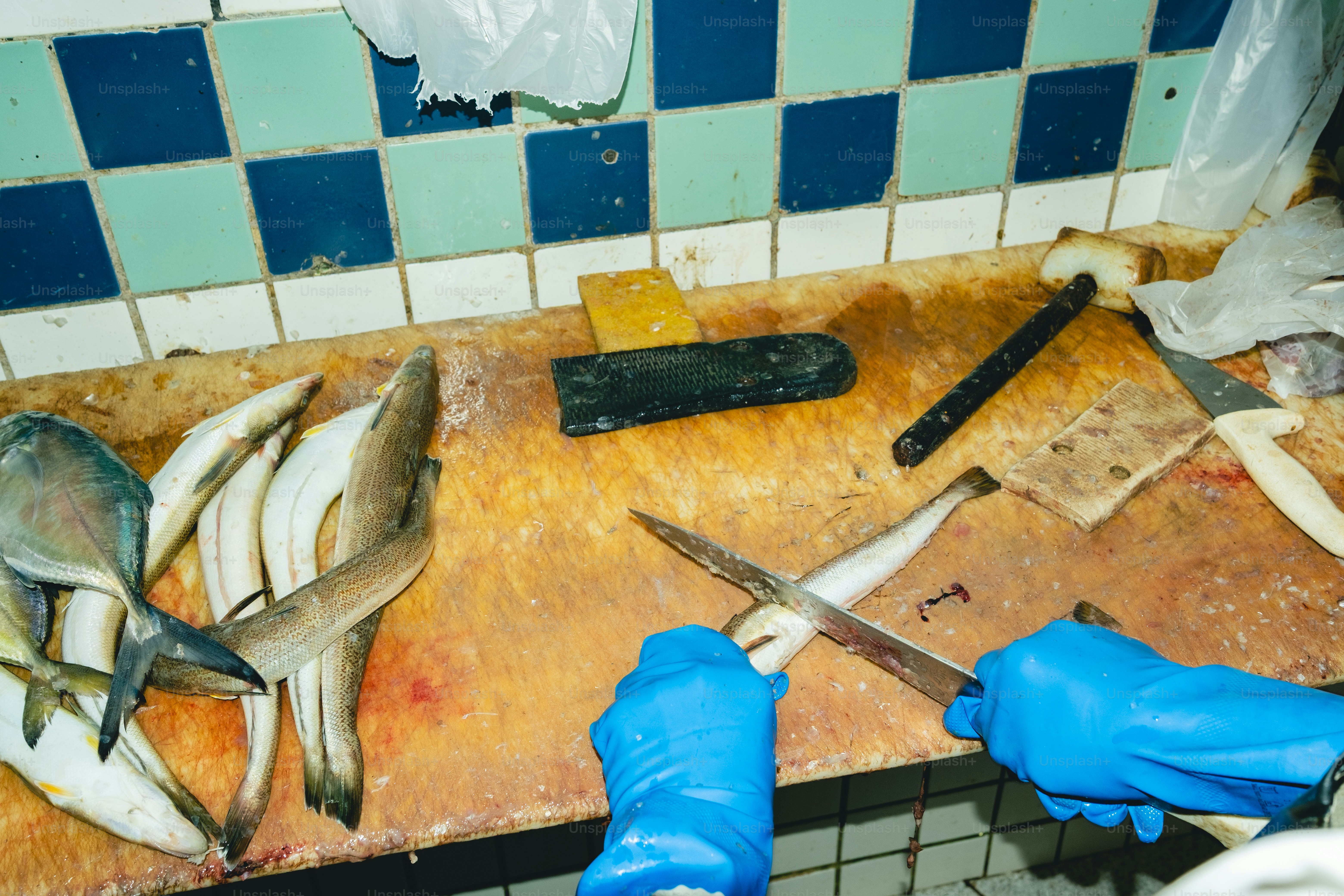 Fish is being weighed at a fish market. photo – Flash Image on Unsplash