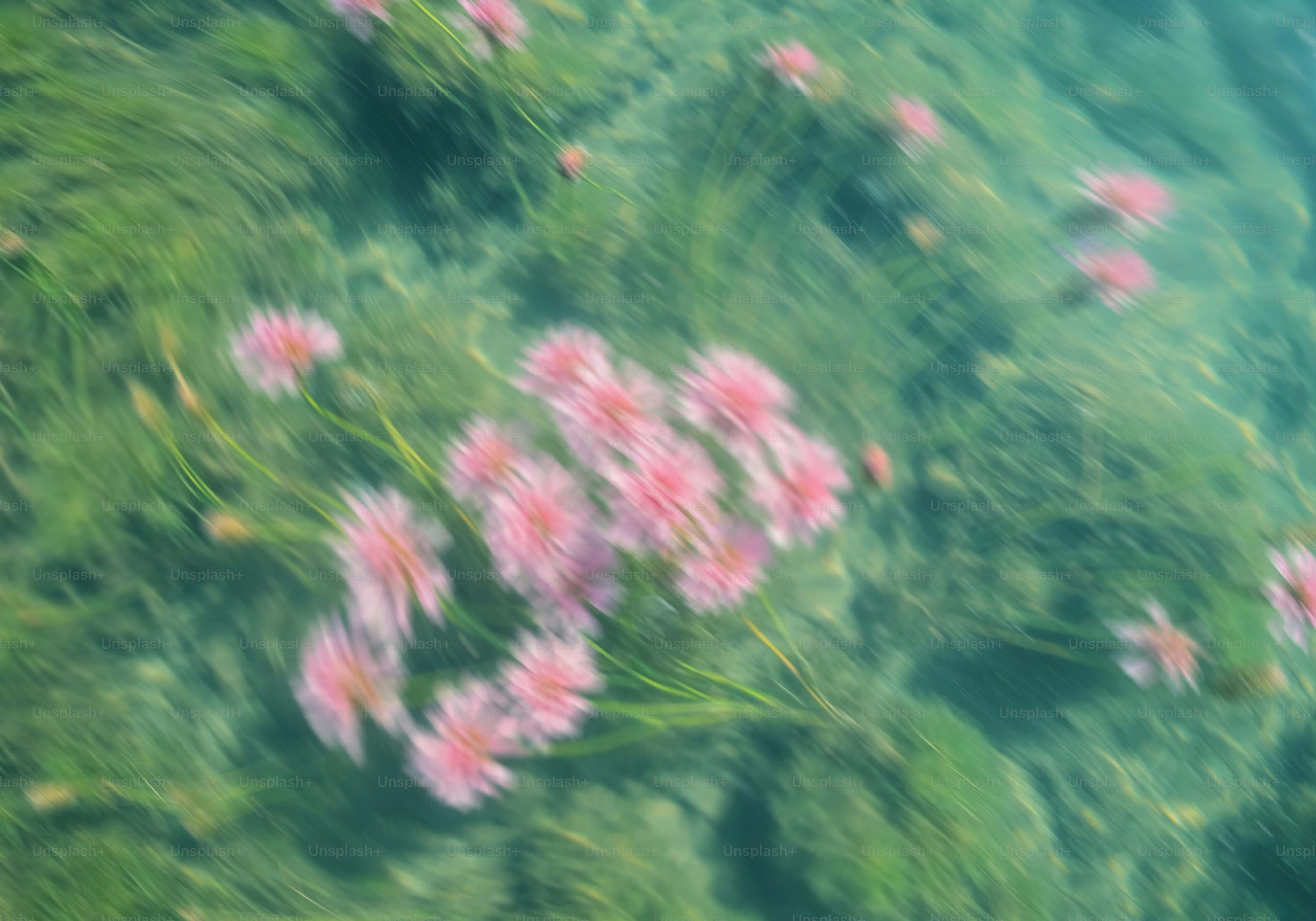 Pink flowers bloom among green plants underwater. photo – Wallpaper ...