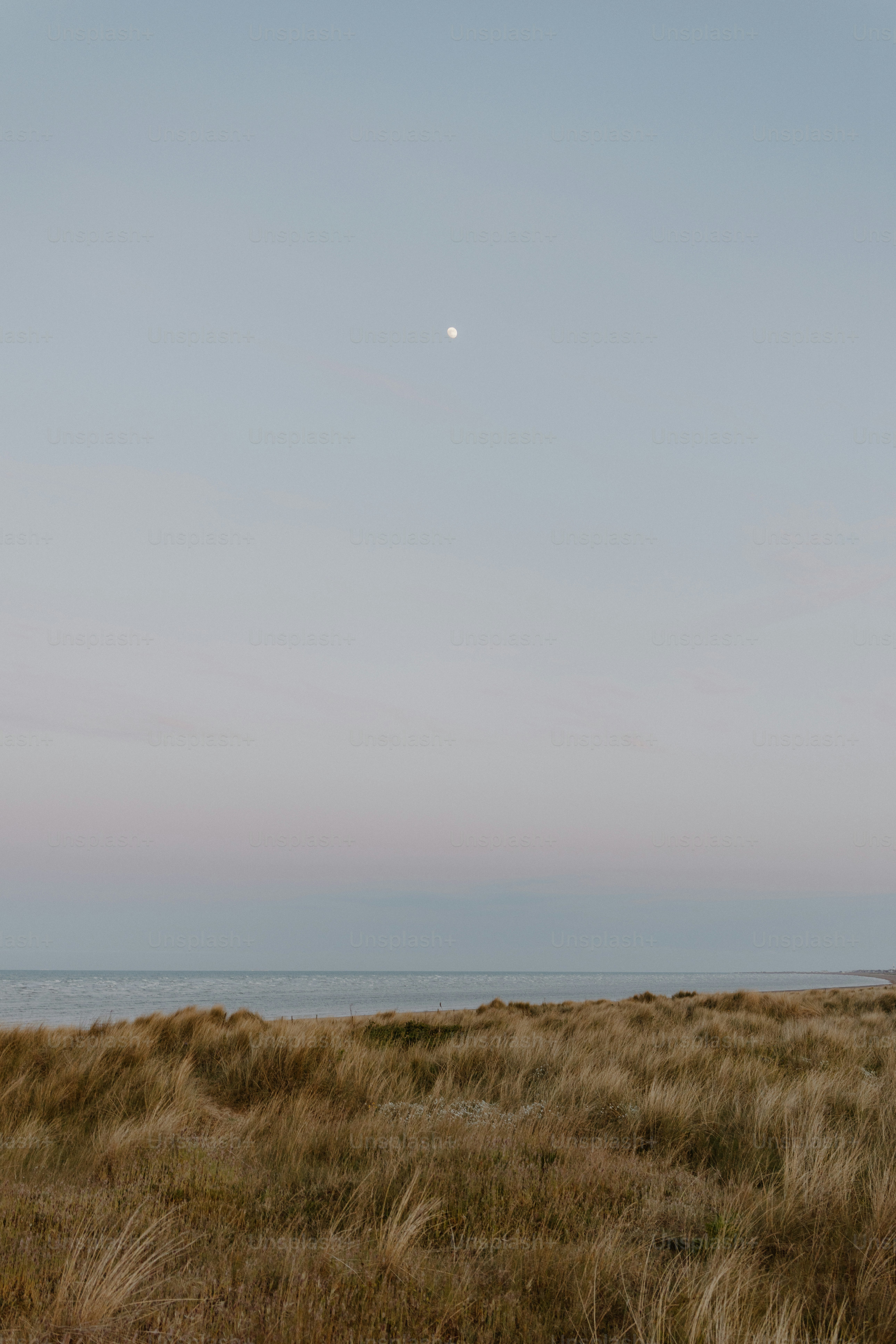 The moon shines over a calm, coastal landscape. photo – Minimal Image ...