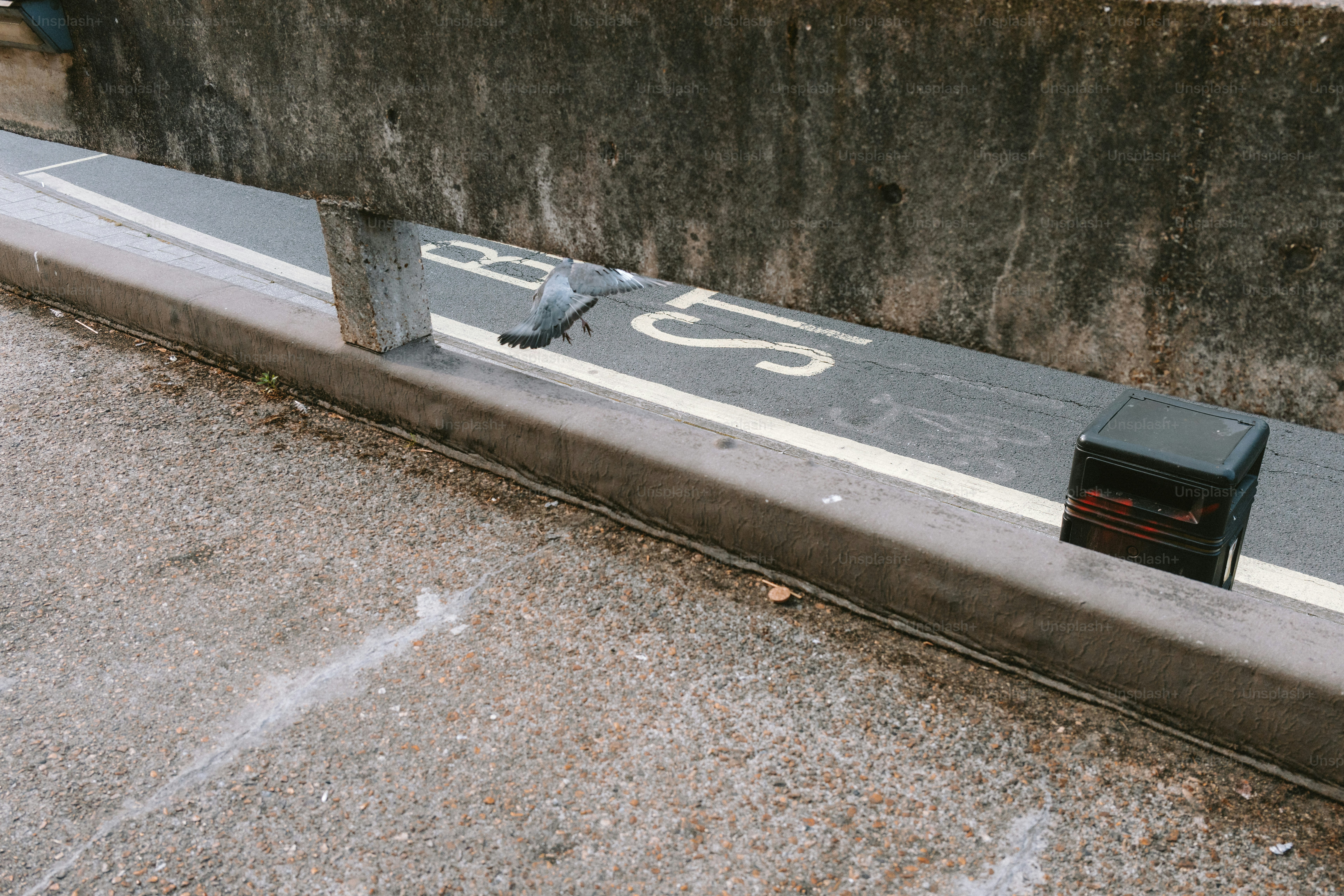 The image shows a bus stop pavement. photo – Outdoors Image on Unsplash