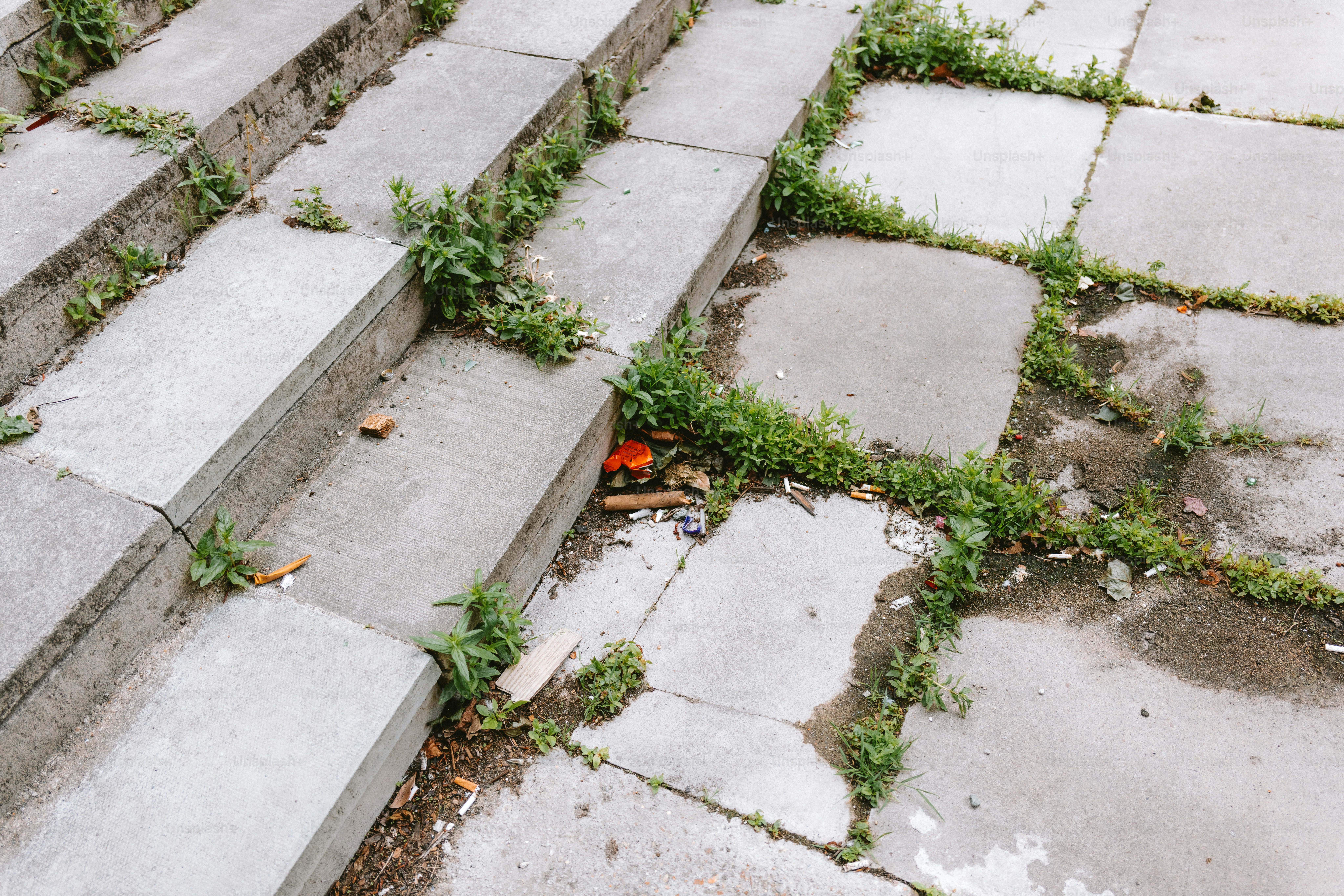 Concrete steps and weeds grow between the cracks. photo – Outdoors ...