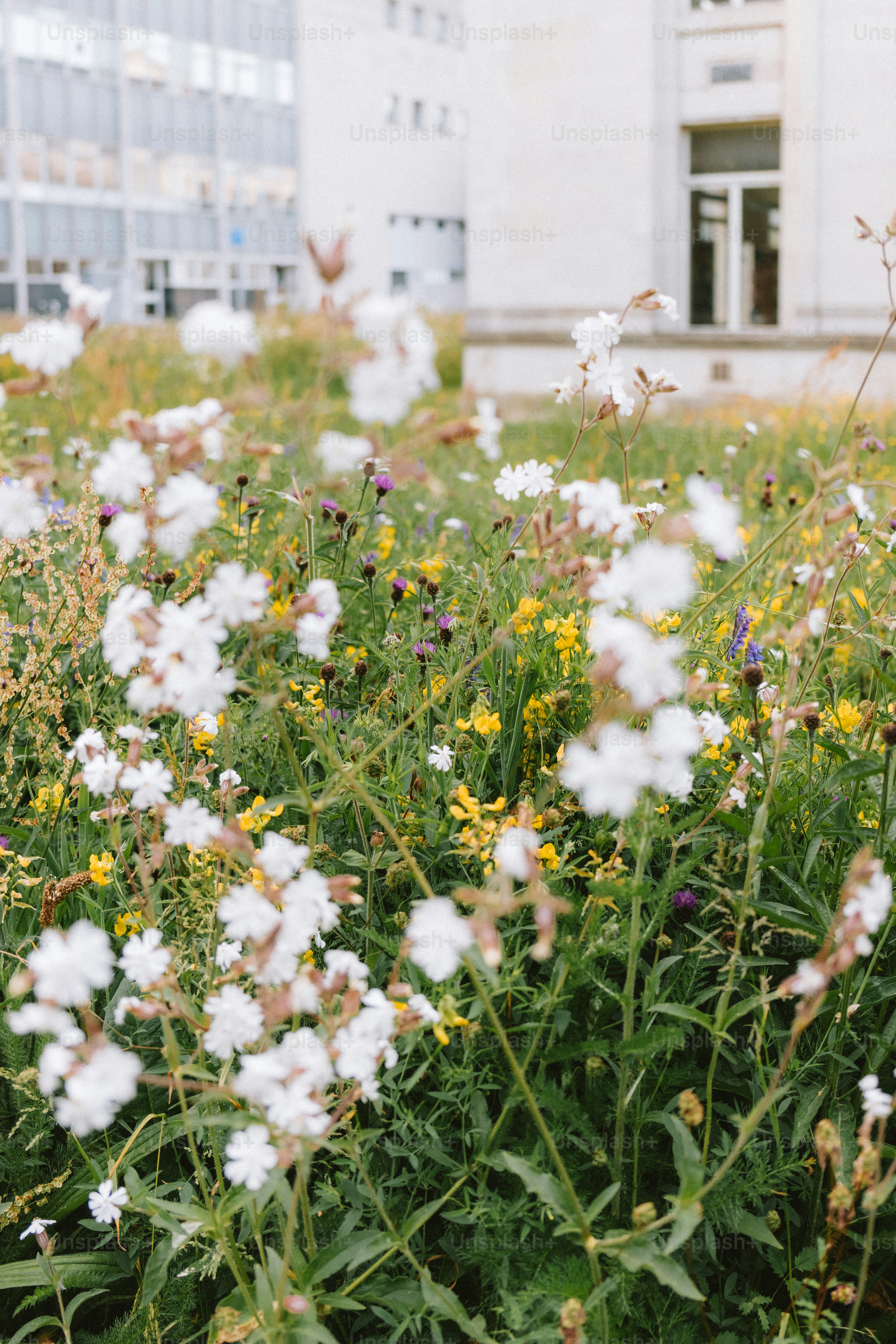 Un túnel oscuro conduce a un edificio luminoso. foto – Imagen de ...