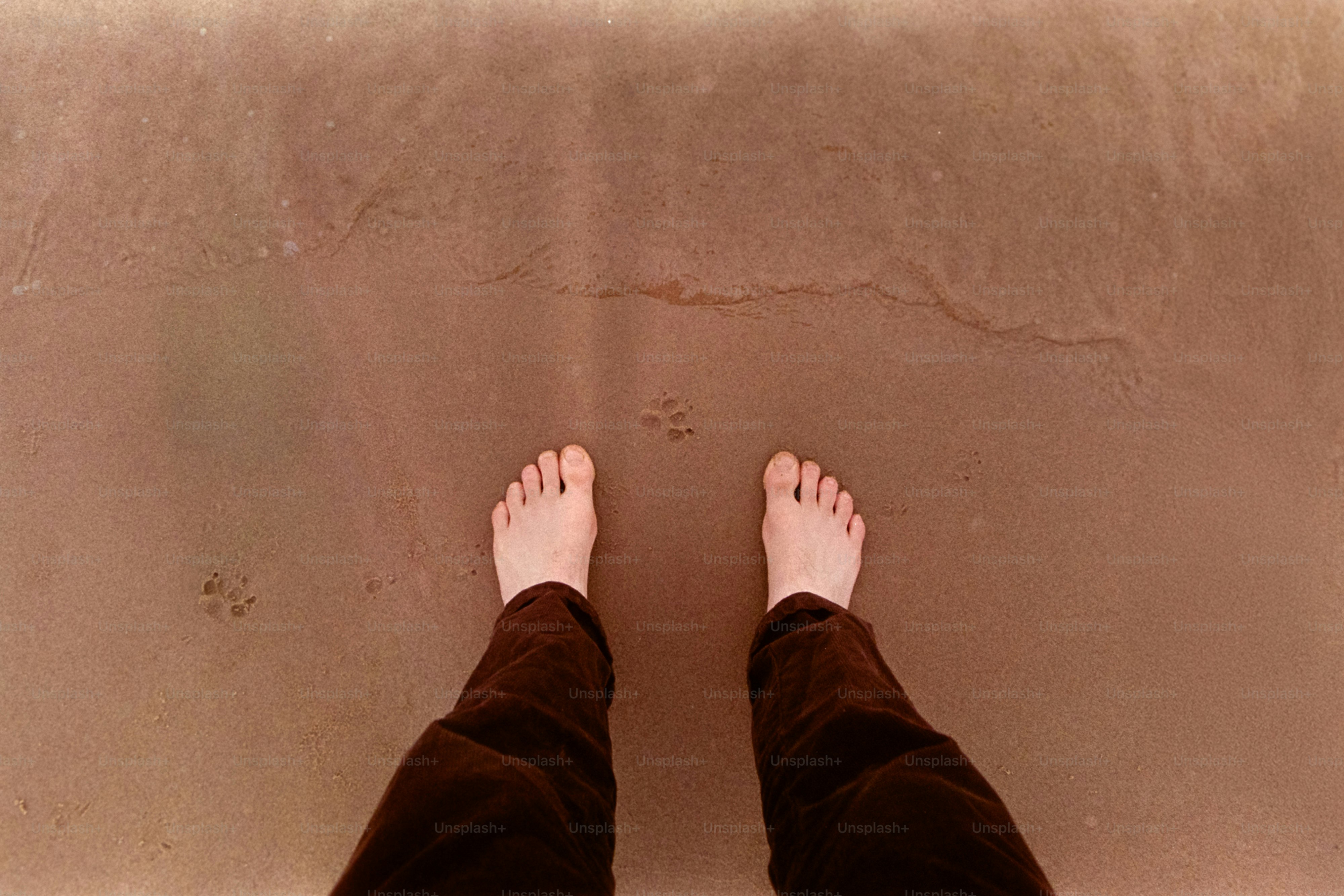 Lisa Todd Feet Pictures | Download Free Images on Unsplash