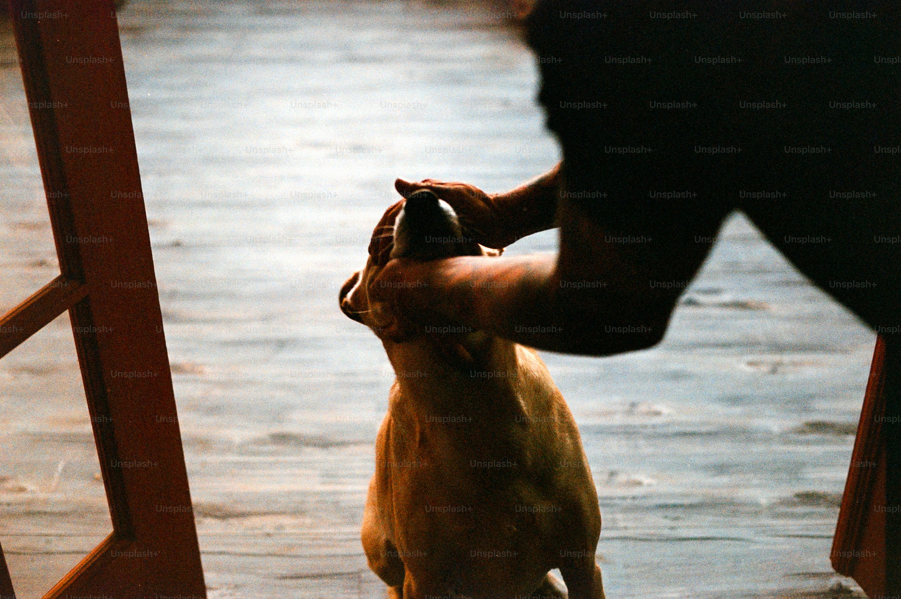 Someone operates an audio mixing board. photo – Film photography Image ...